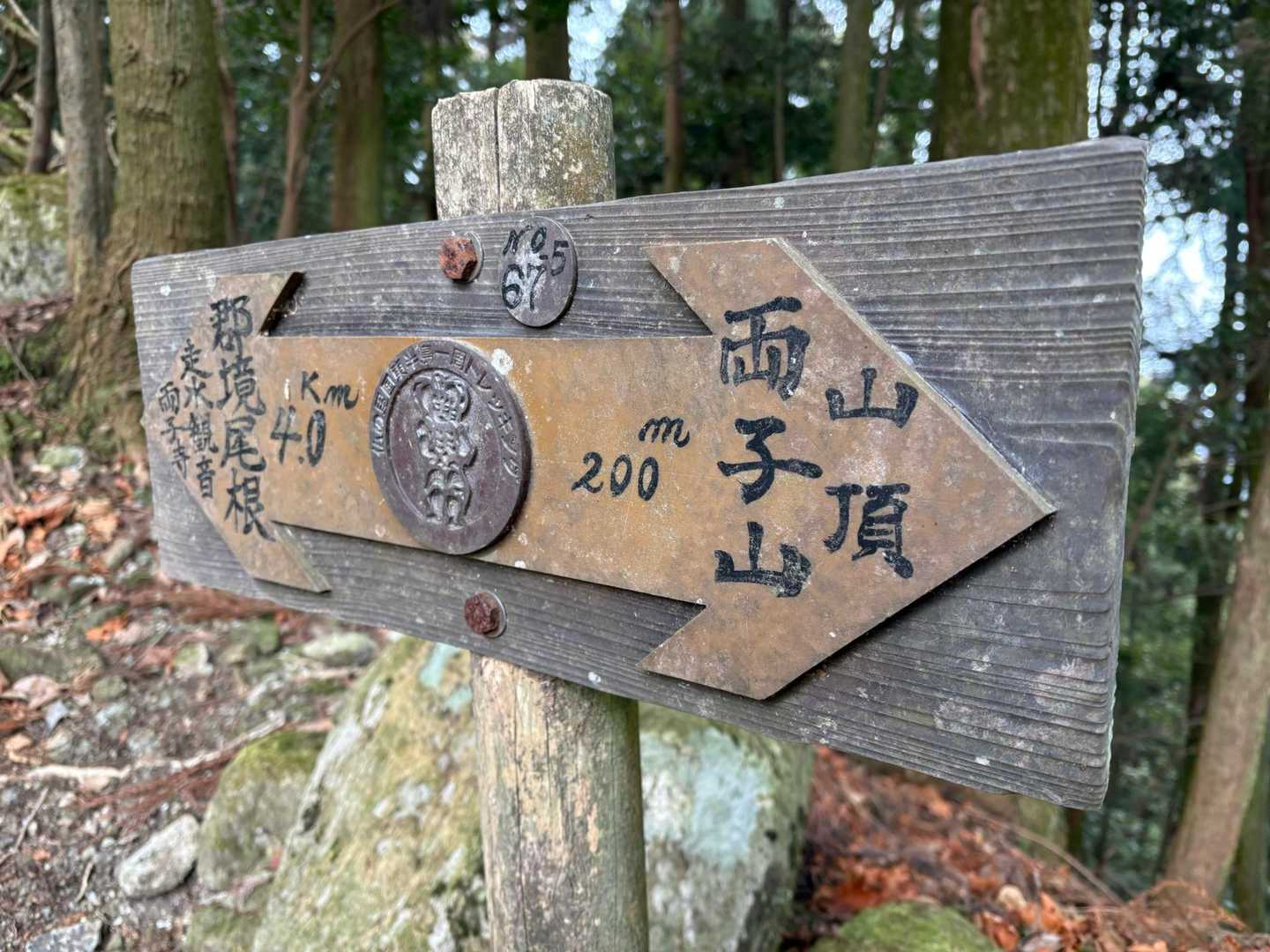 ヨッシー監修🐶国東ツアー3日目⛰️両子山・両子山北峰・トンガリ山・600m ピーク / ぽっかぽかさんの六郷満山（国東半島）の活動データ ...