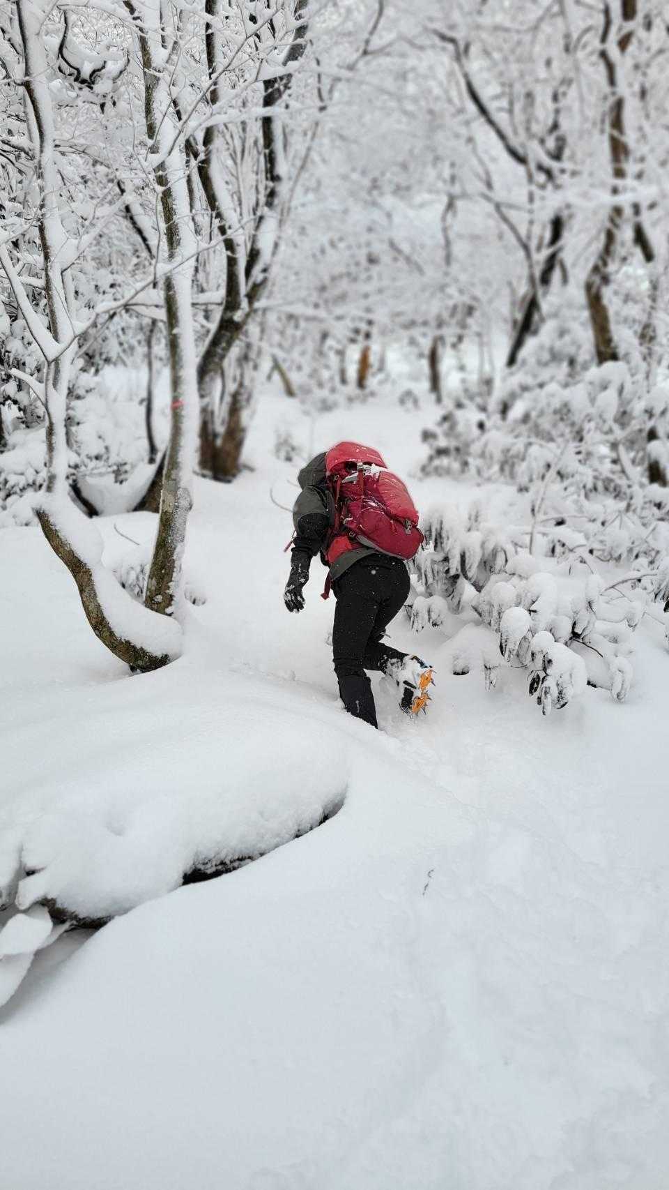 烏帽子岳で初ラッセル😁 / AKEMIさんの三国岳・烏帽子岳・ダイラの頭の活動データ | YAMAP / ヤマップ