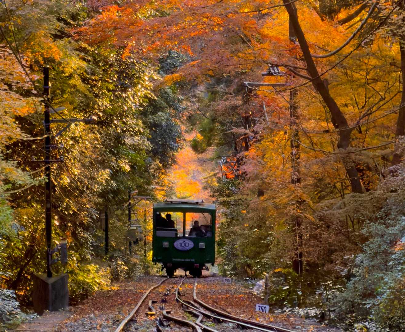 筑波山（女体山）・筑波山（男体山） / Rayさんの筑波山の活動データ | YAMAP / ヤマップ