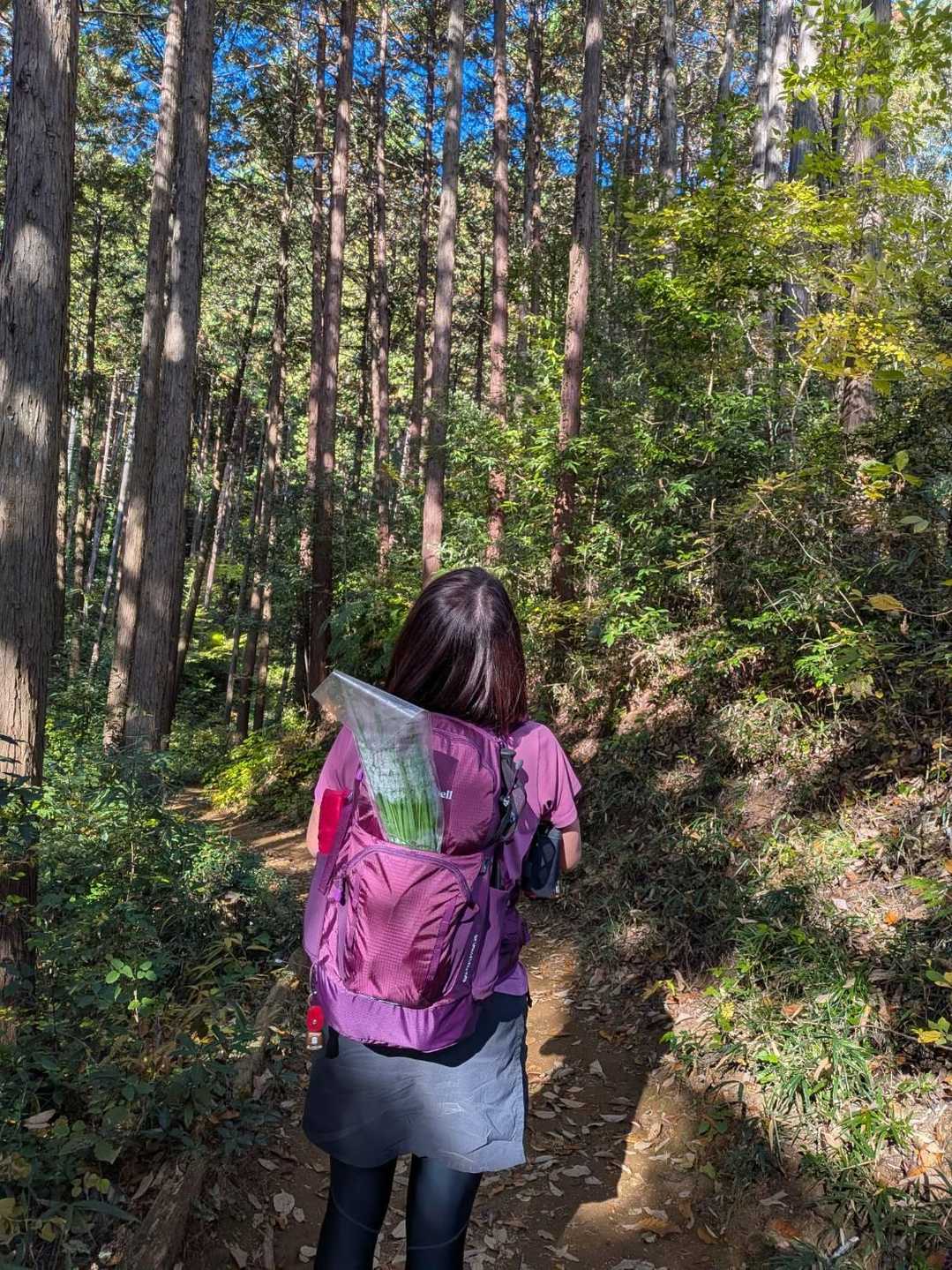 ネギを担いで日和田山😂 / koroponさんの天覧山・多峯主山・天覚山の活動データ | YAMAP / ヤマップ