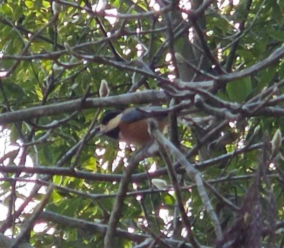 文殊山 / もりもり🌲さんの文殊山の活動データ | YAMAP / ヤマップ