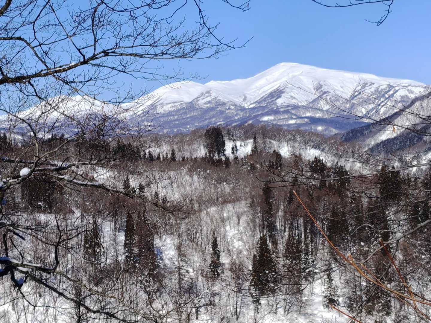 スノーシュー大井沢 26-01-10 / オメダさんの登山の活動データ | YAMAP / ヤマップ