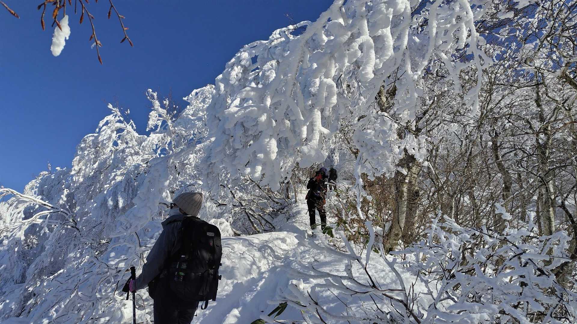 瀧山Summit🏔️ / にゃーさんの蔵王山・雁戸山・不忘山の活動データ | YAMAP / ヤマップ