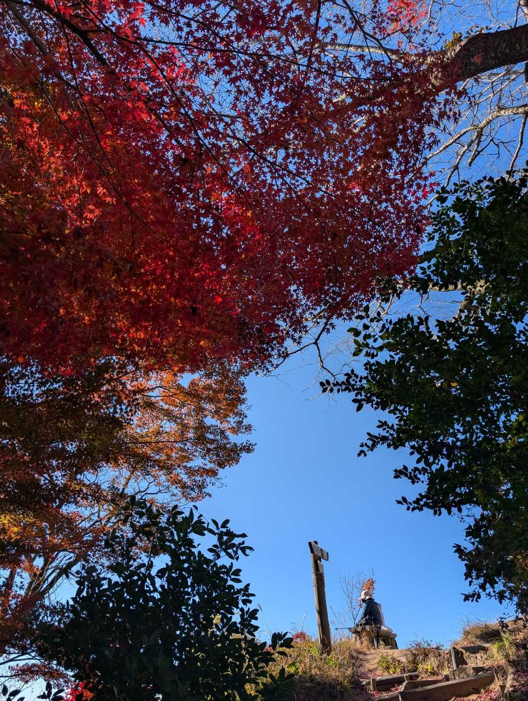 遠見山・宮路山・赤坂山・五井山・御堂山・砥神山 / ますおさんの五井山・宮路山・御堂山の活動データ | YAMAP / ヤマップ