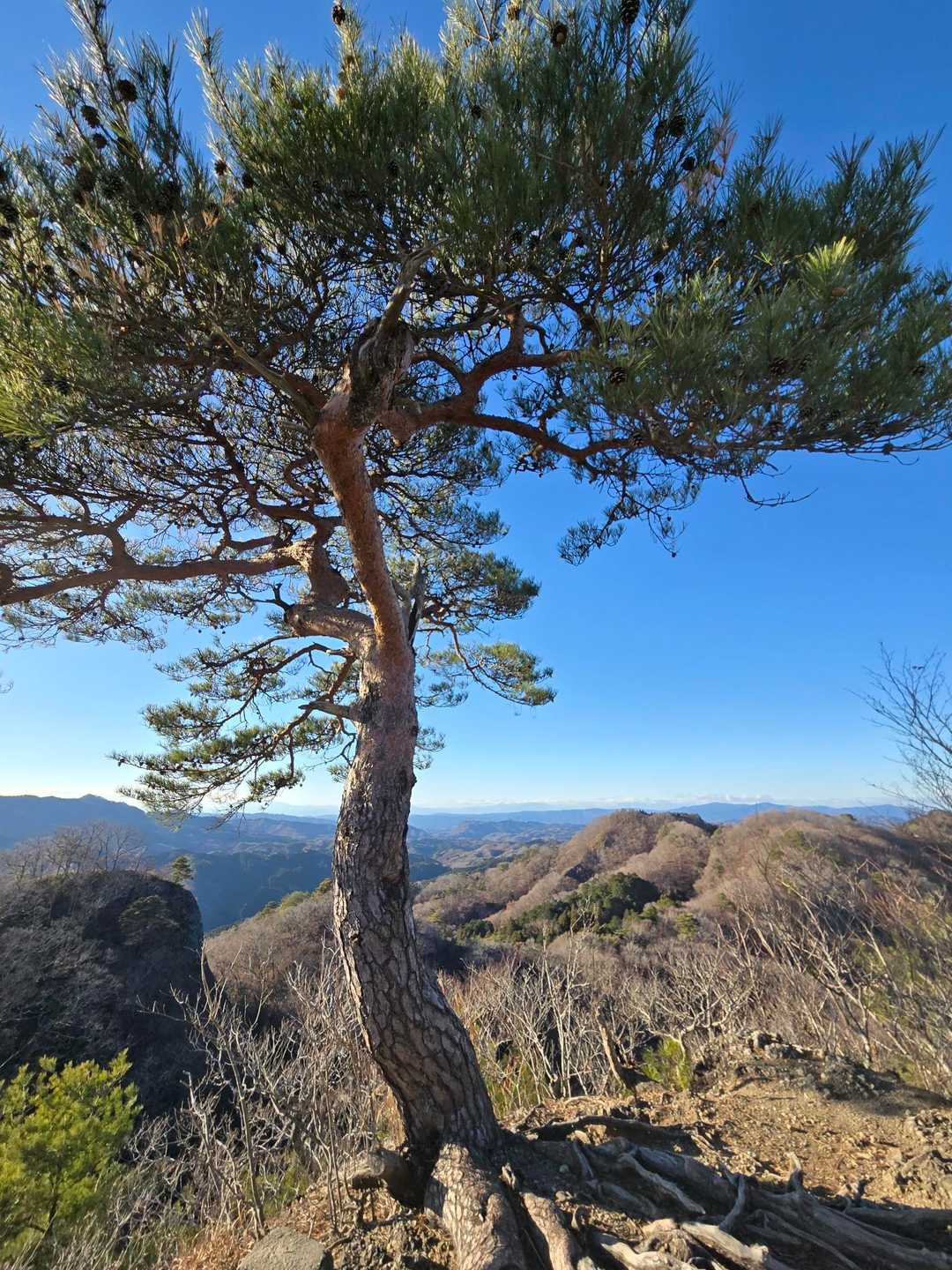 鍋足山 トレイルポイント② / wanisanさんの鍋足山の活動データ | YAMAP / ヤマップ