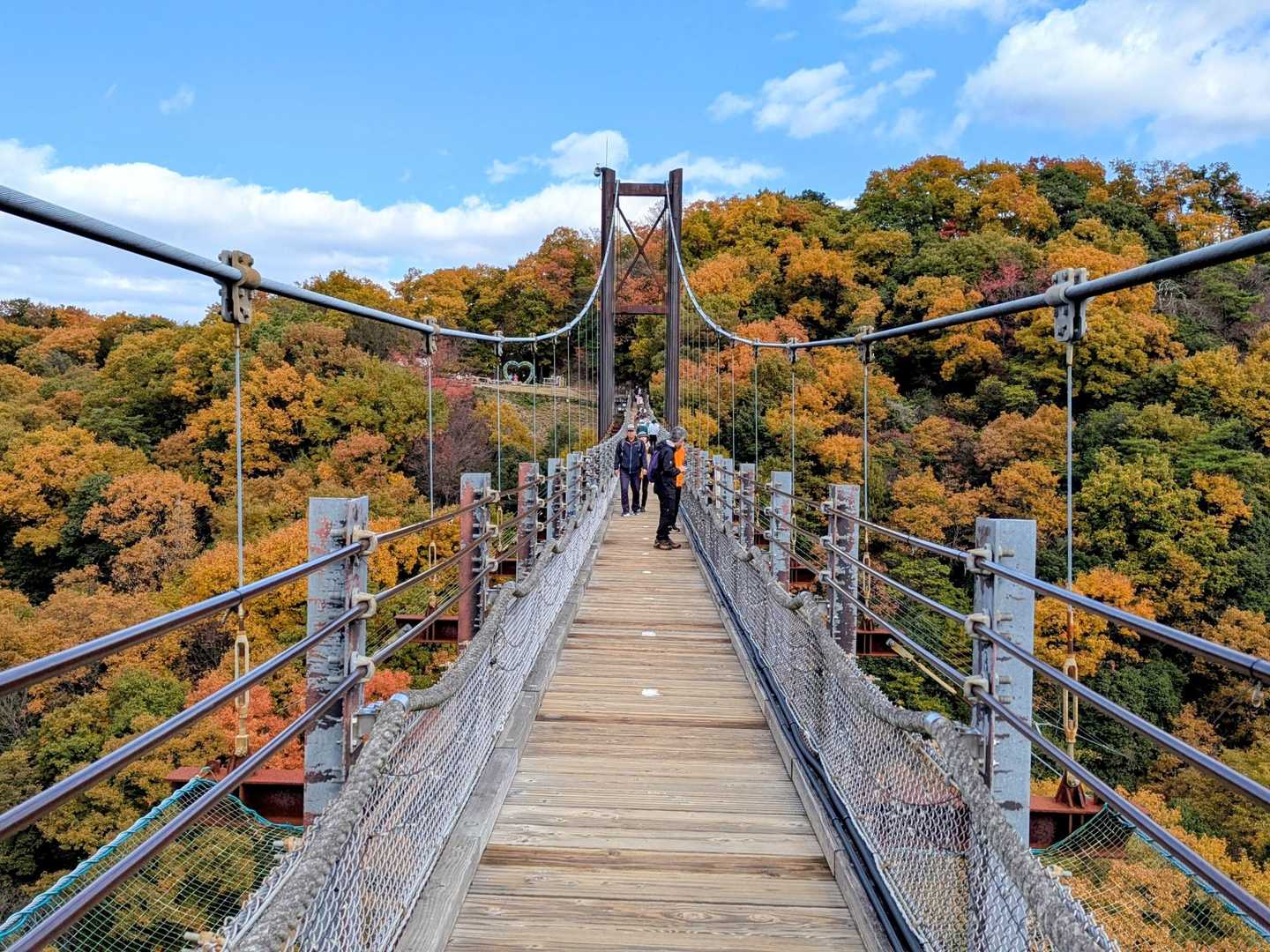 星のブランコ / あさやんさんの交野山・国見山の活動データ | YAMAP / ヤマップ