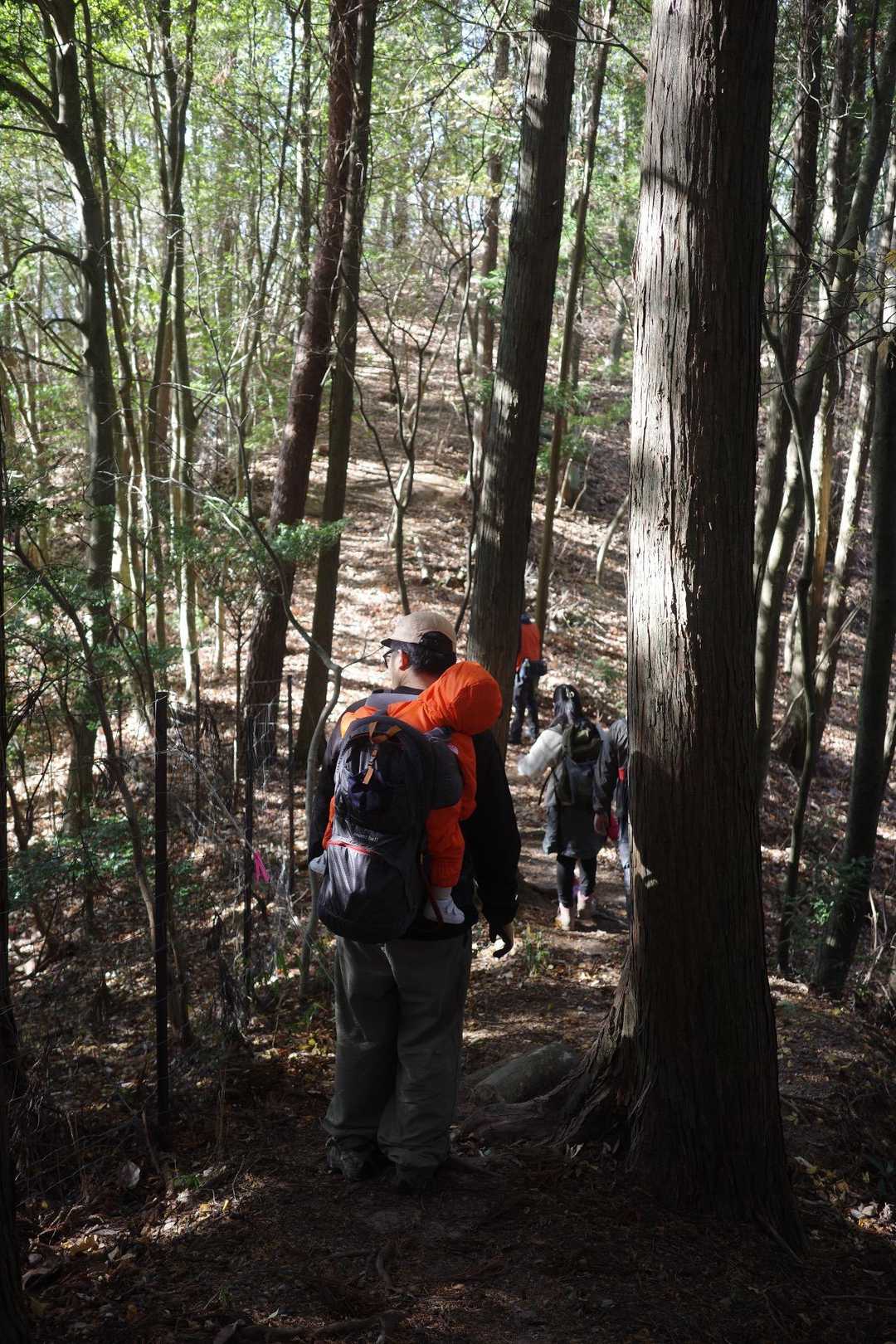 三家族で👴🏻👵🏻👨🏻‍🦱👩🏻👧🏻👧🏻🧔🏻‍♂️👩🏻👧🏻三釈迦山！ / マユコさんの白髪岳・松尾山・西寺山の活動データ | YAMAP / ヤマップ