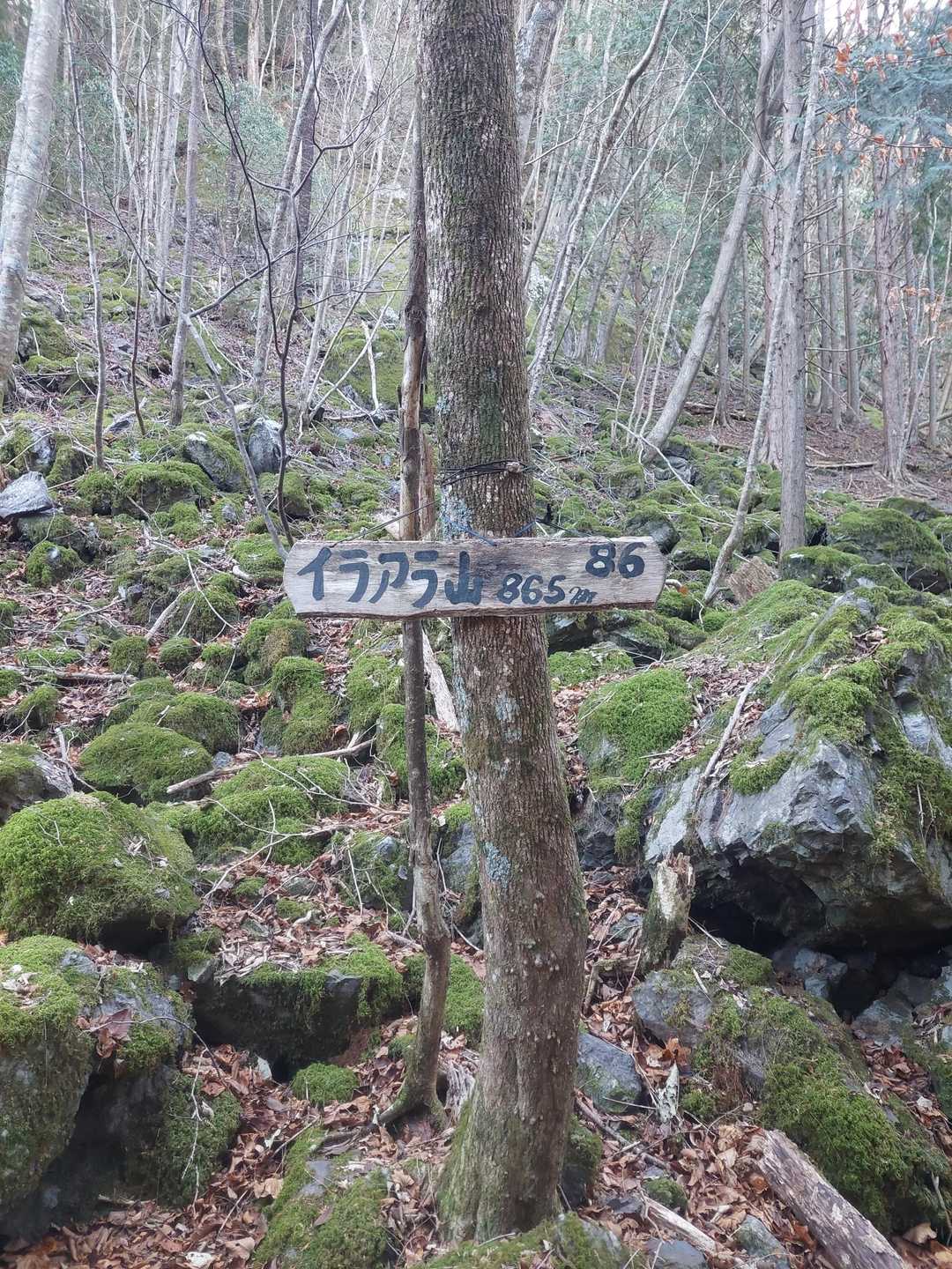山王岩峰・ゼンモン山・イラアラ山 / etsukoさんの常光寺山の活動データ | YAMAP / ヤマップ