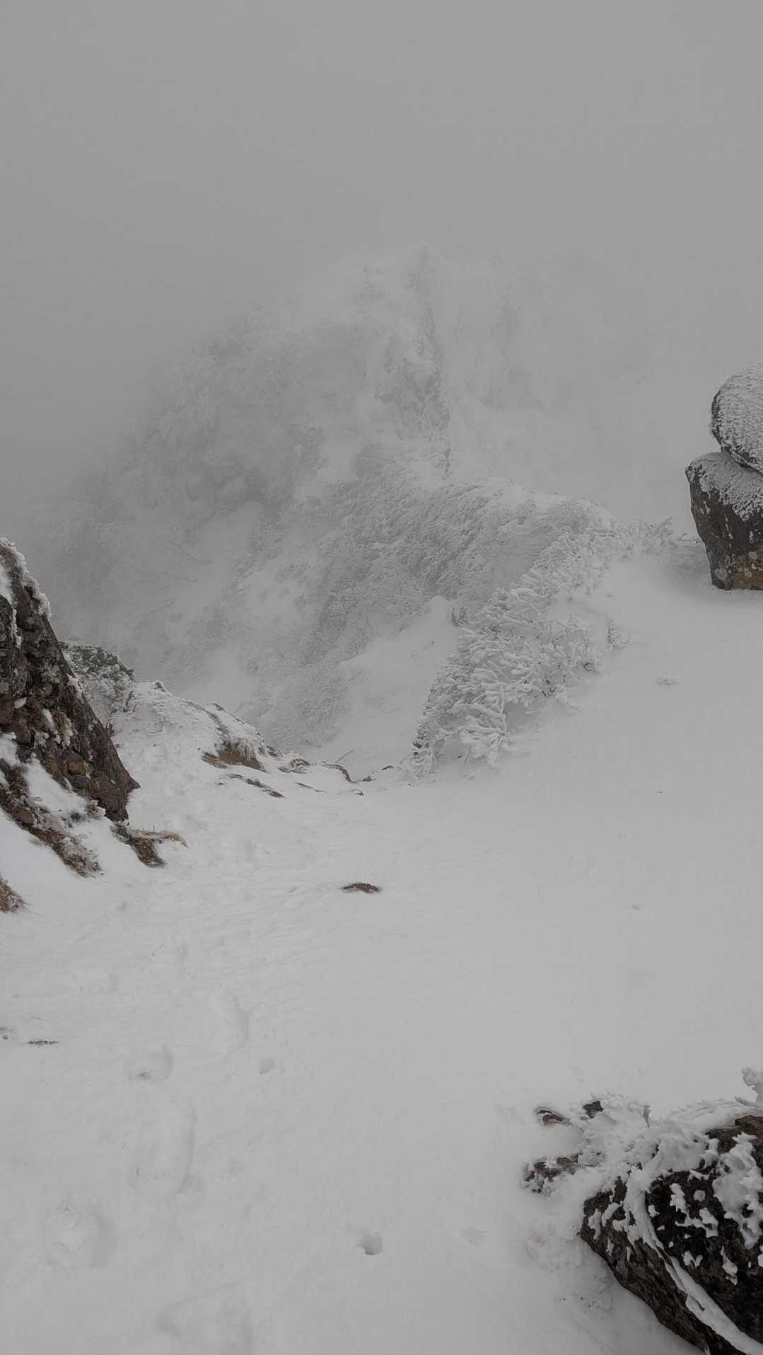 阿弥陀岳南稜 / あゆみさんの八ヶ岳（赤岳・硫黄岳・天狗岳）の活動データ | YAMAP / ヤマップ