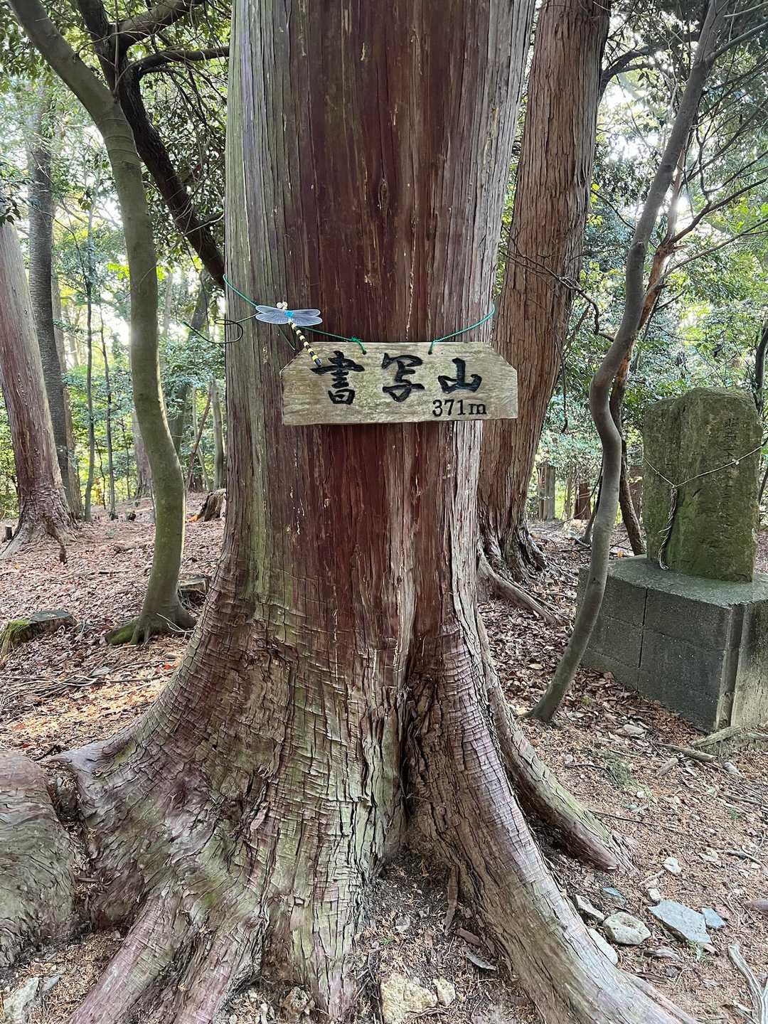 書写山 / hiroさんの書写山・伊勢山・とんがり山の活動データ | YAMAP / ヤマップ