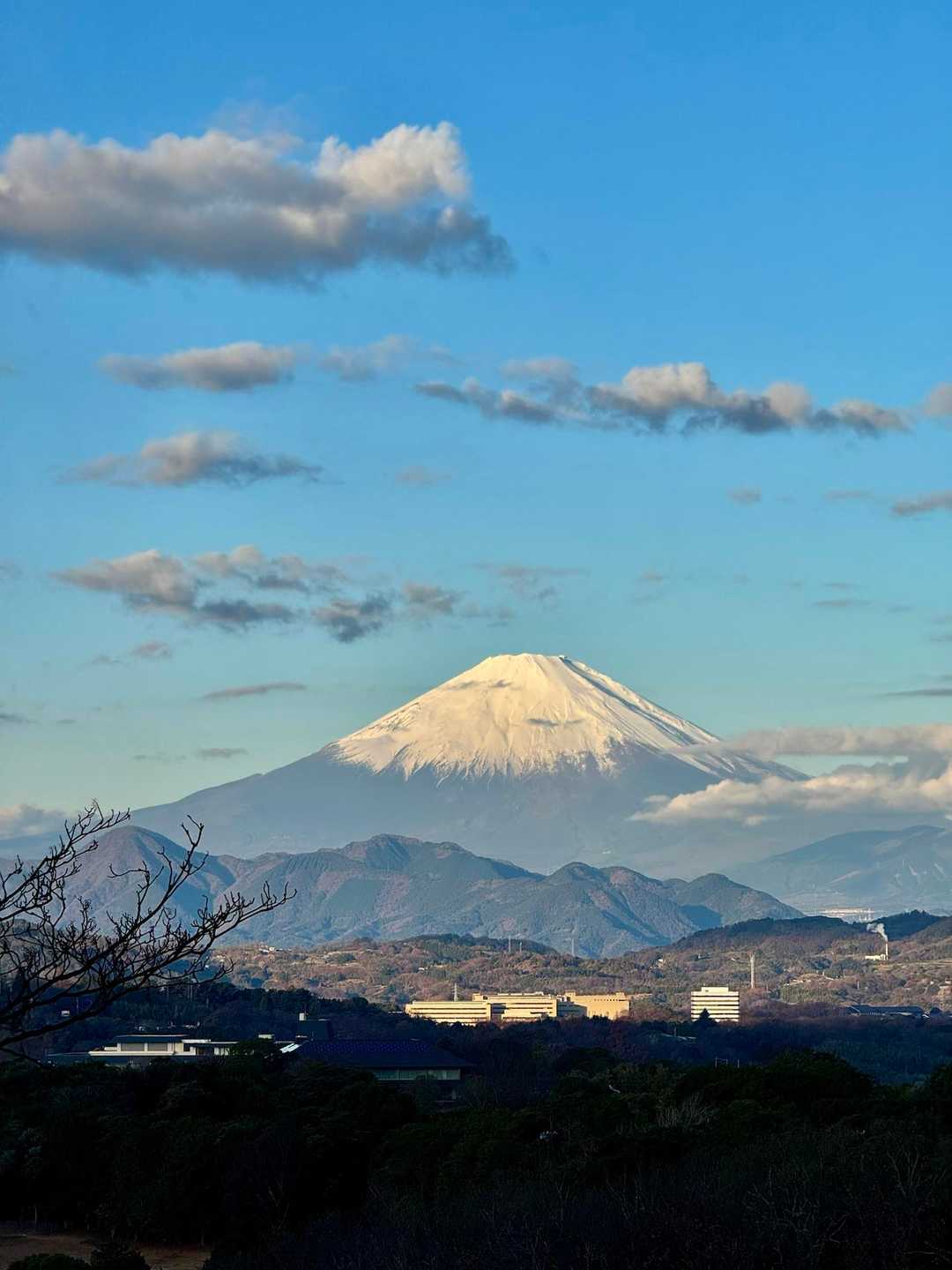 鷹取山辺りを周回♪朝活♪ / あっくんさんの高麗山・湘南平・鷹取山の活動データ | YAMAP / ヤマップ
