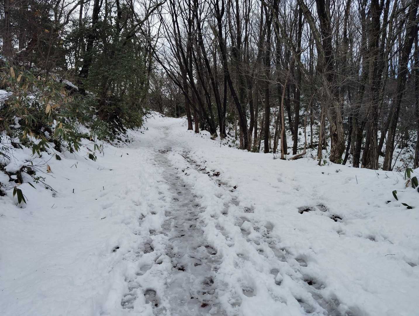 二上山・城山・鉢伏山 / やまPさんの二上山・大師ヶ岳・摩頂山の活動データ | YAMAP / ヤマップ