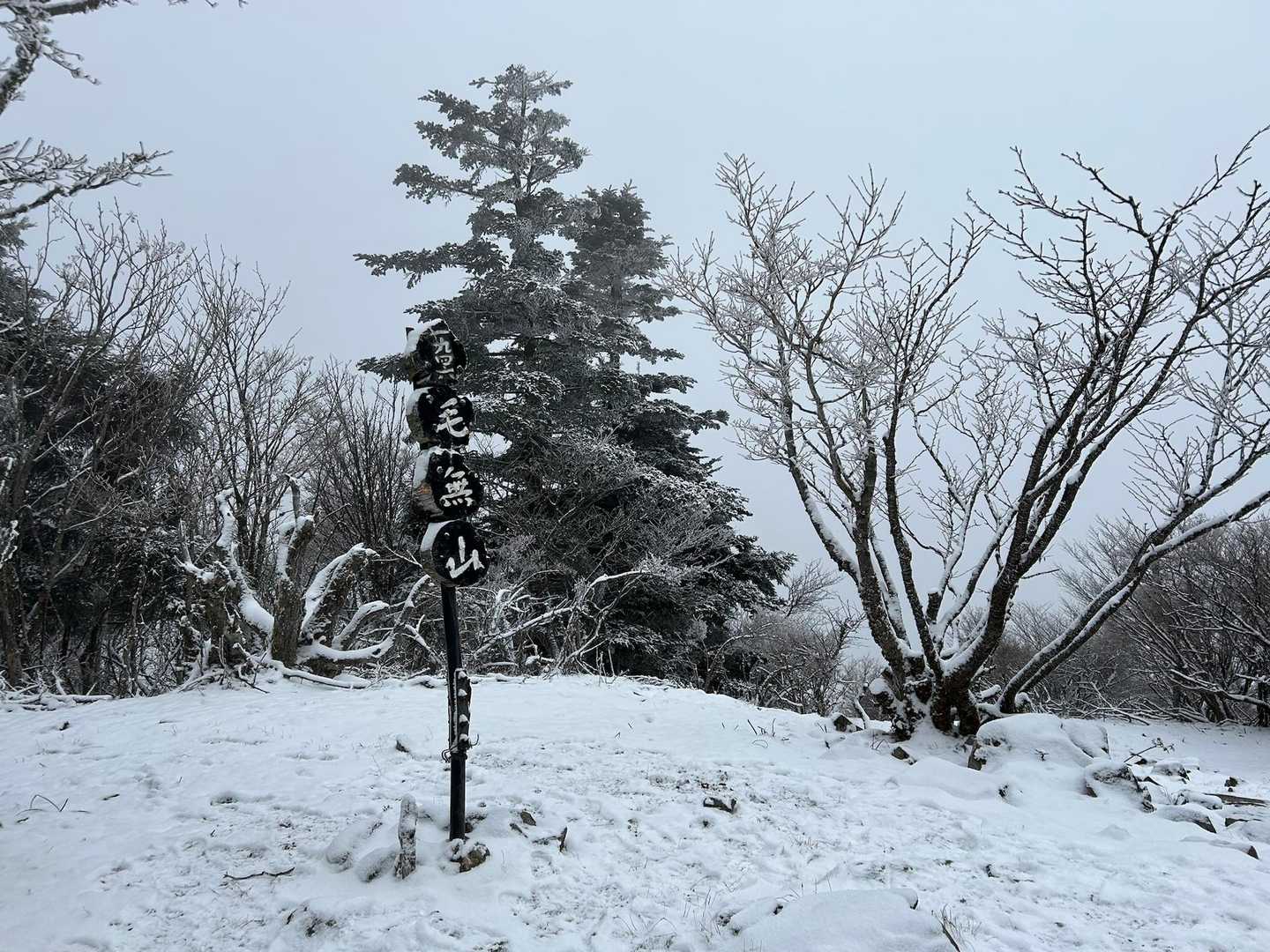 毛無山（三角点・最高点）・大見岳 / おたけさんの毛無山・雨ヶ岳・竜ヶ岳の活動データ | YAMAP / ヤマップ