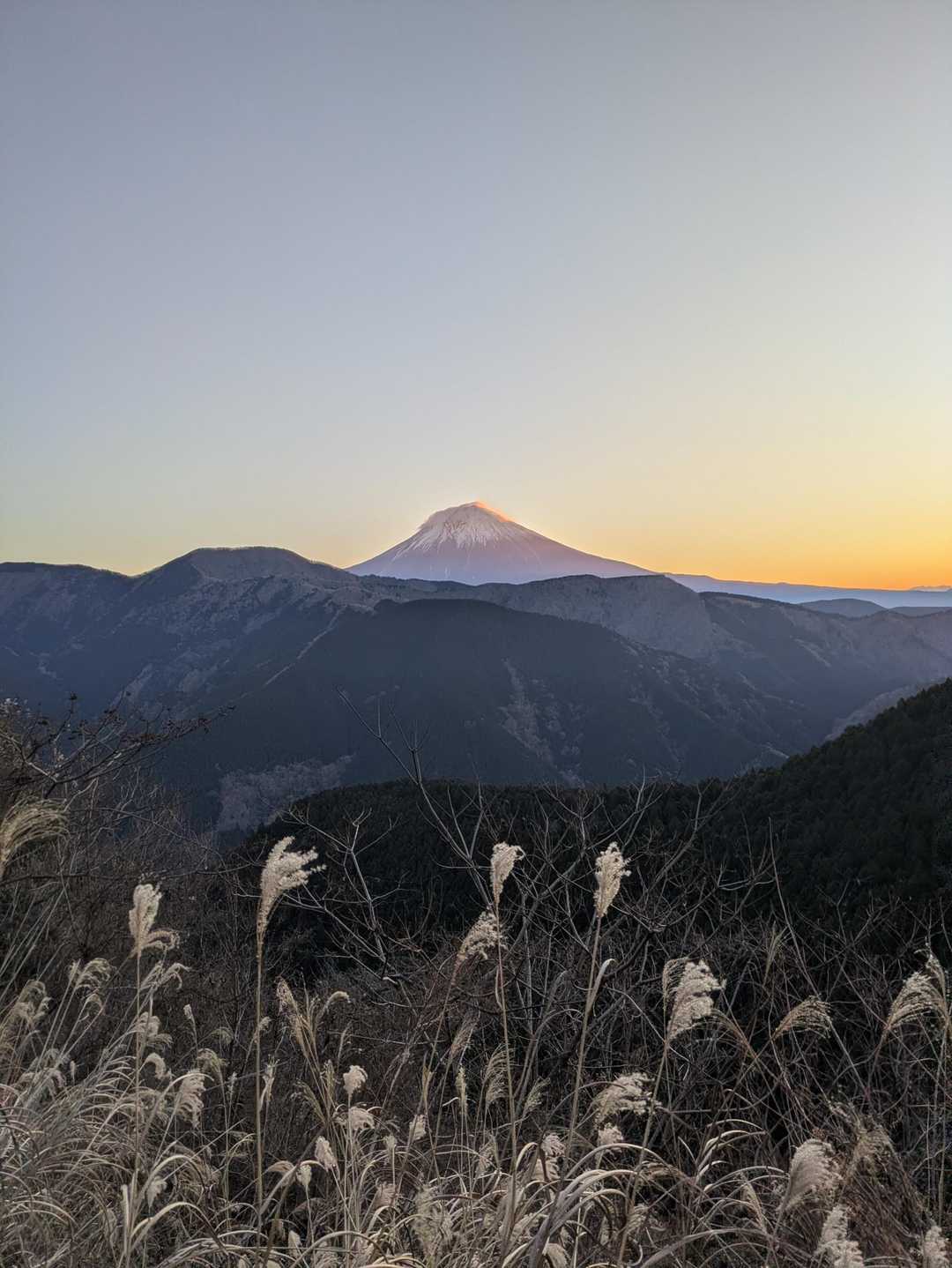 山梨百名山(三石山・思親山) / ZIMTさんの思親山・三石山の活動データ | YAMAP / ヤマップ