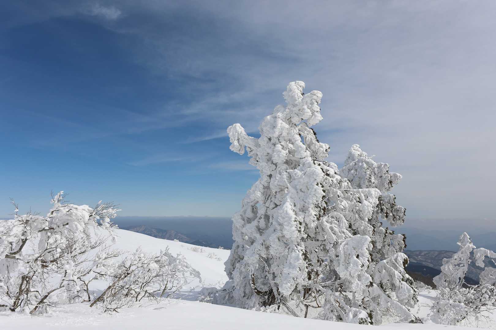 氷ノ山(須賀ノ山)・鉢伏山・瀞川山-2019-02-18 / k-o-jiさんの氷ノ山（須賀ノ山）・鉢伏山・瀞川山の活動データ | YAMAP ...