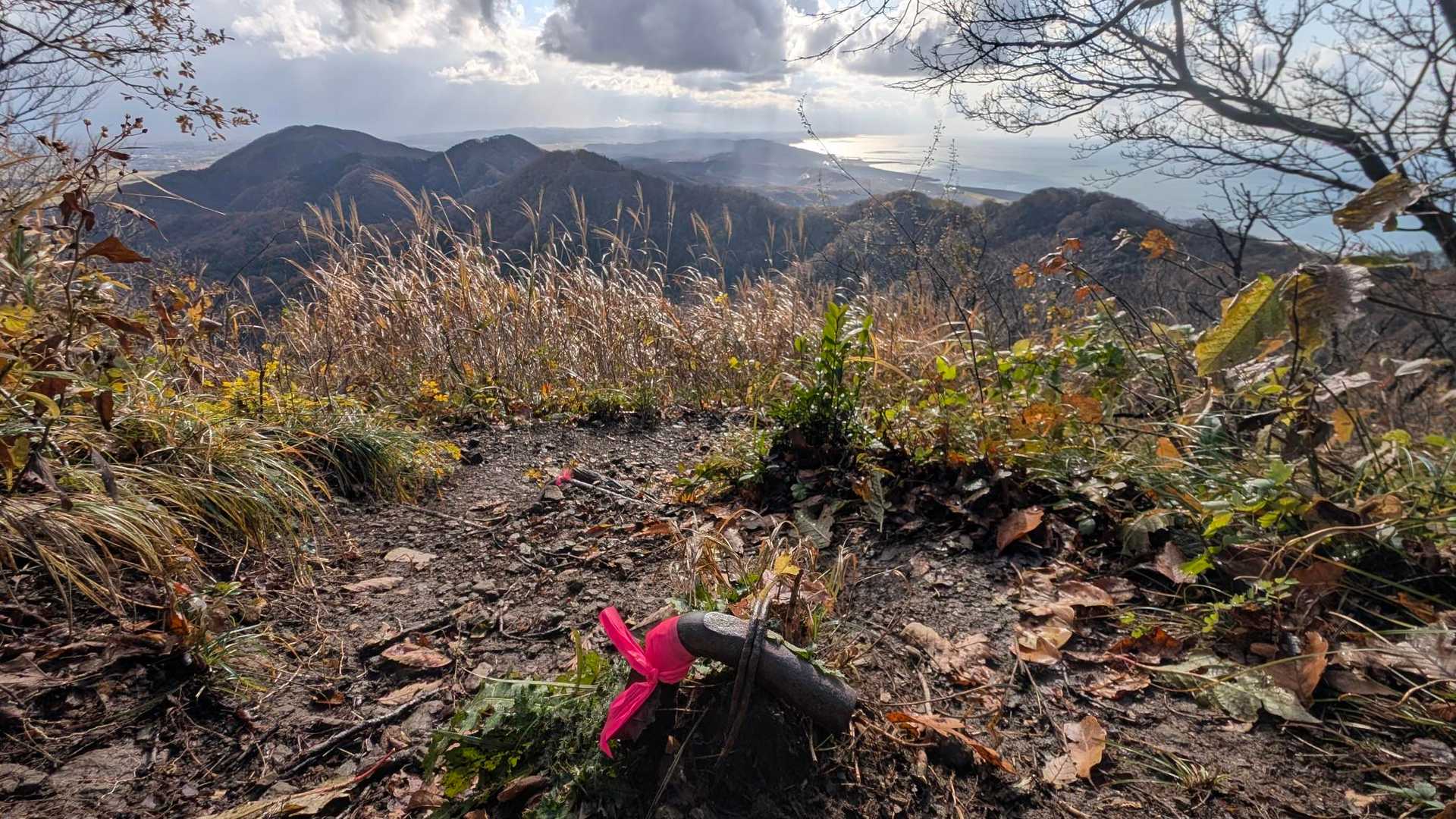 八枚沢ピンクテープ / まめさんの弥彦山・多宝山・雨乞山の活動データ | YAMAP / ヤマップ
