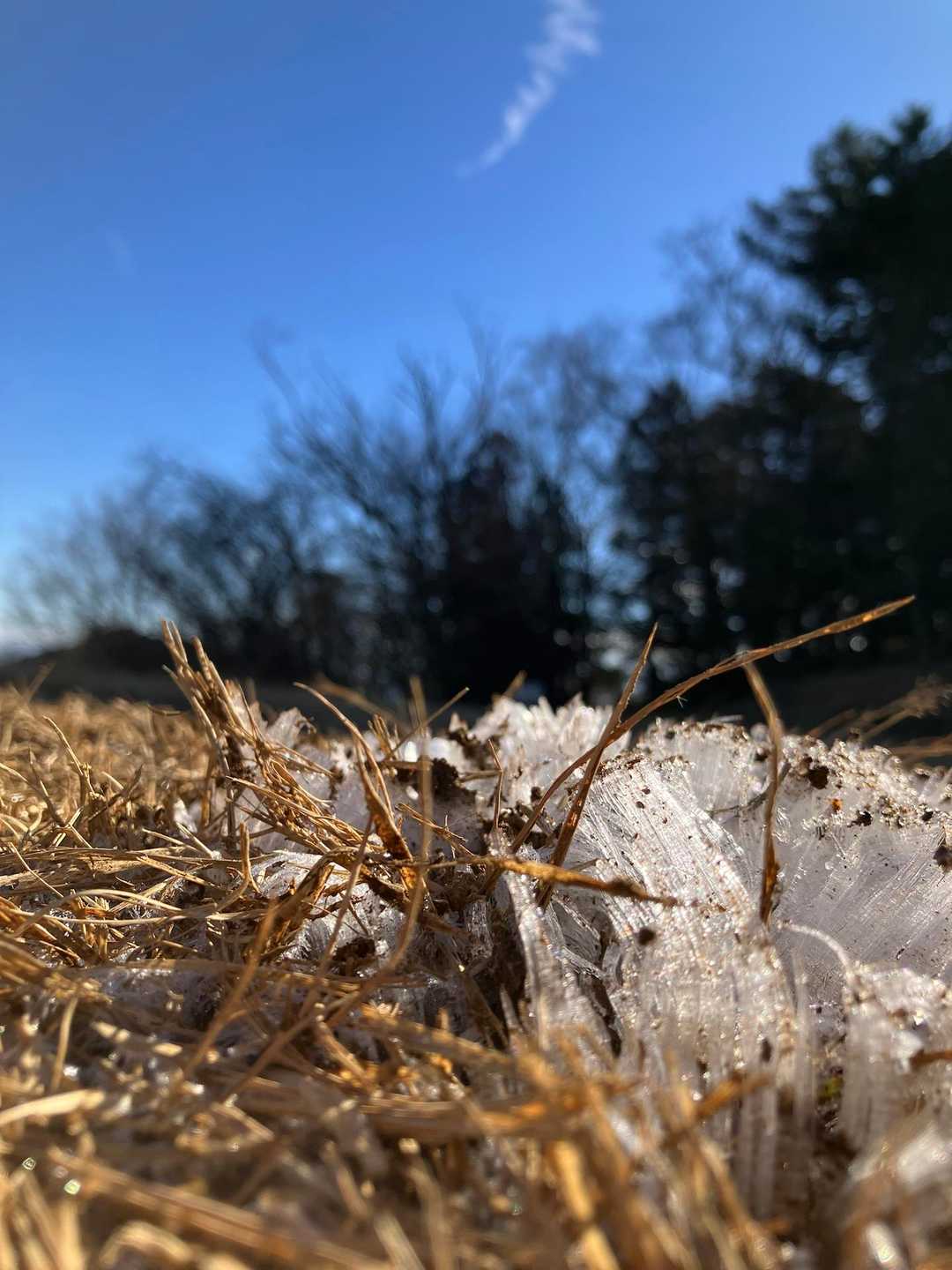 シン・山登り納めin 御岳山 / Nickさんの大岳山・御岳山・御前山の活動データ | YAMAP / ヤマップ