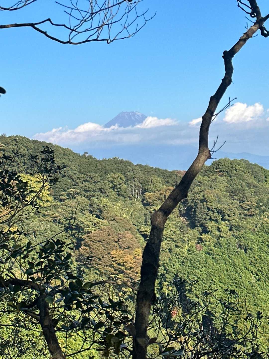 沼津アルプス / hshhさんの沼津アルプス・鷲頭山・香貫山の活動データ | YAMAP / ヤマップ