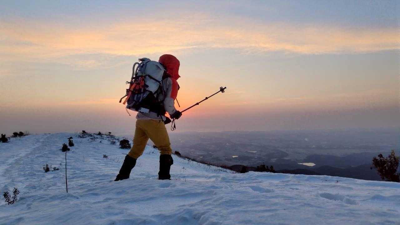 ピンクドラゴン🐉🩷を求めて / macoさんの竜ヶ岳の活動データ | YAMAP / ヤマップ