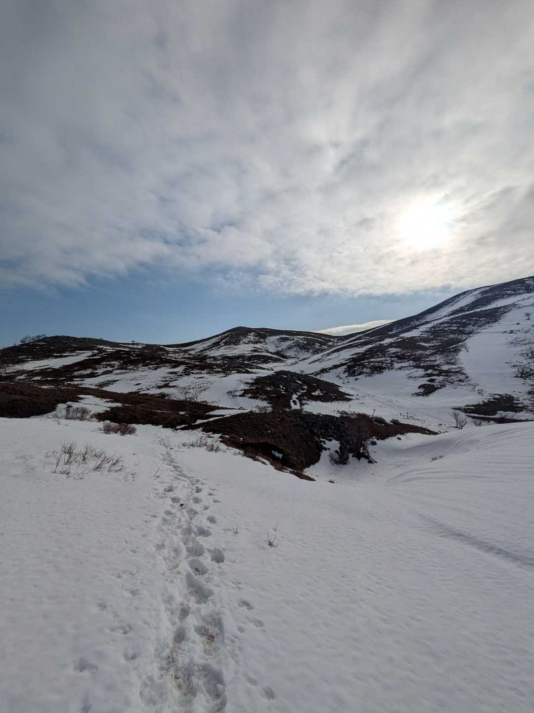 2026年 登り初めは初遠征で滋賀の霊仙山!! / コテツンツンさんの霊仙山の活動データ | YAMAP / ヤマップ