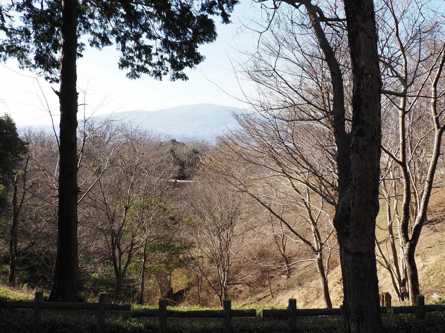 五月山 / emiさんの六個山・鉢伏山・明ヶ田尾山・五月山の活動データ | YAMAP / ヤマップ