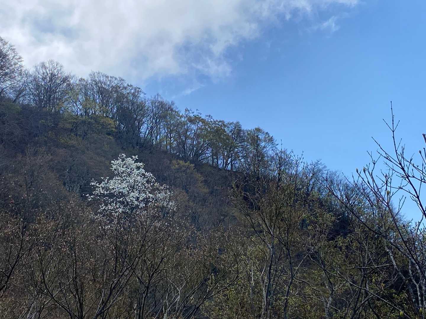 高社山（高井富士）「下山近道は近道じゃなかった / mtakoさんの高社山（高井富士）の活動データ | YAMAP / ヤマップ