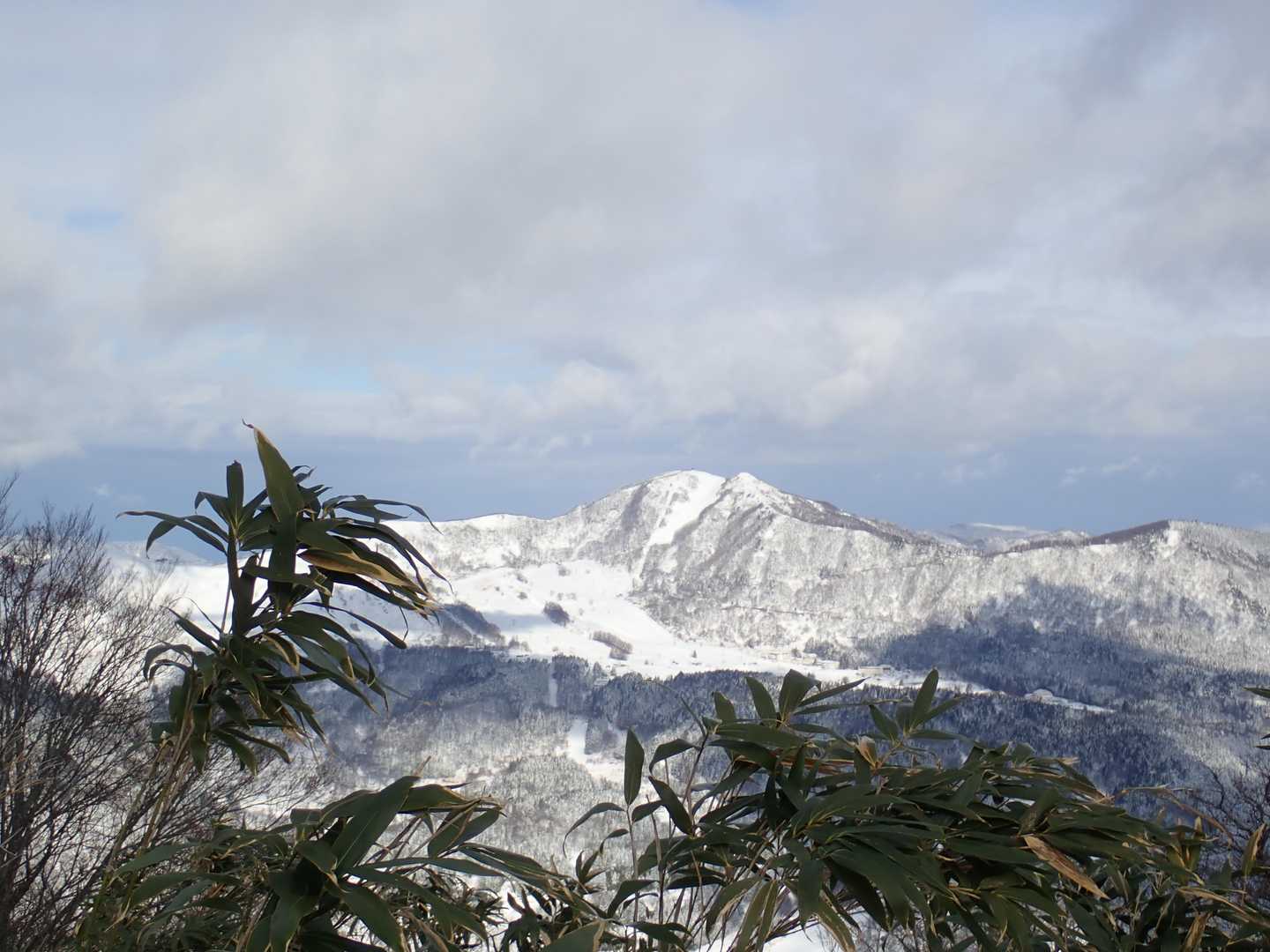 氷ノ山（須賀ノ山）・鉢伏山・瀞川山-2025-12-27 / むらちゃんさんの氷ノ山（須賀ノ山）・鉢伏山・瀞川山の活動データ | YAMAP ...