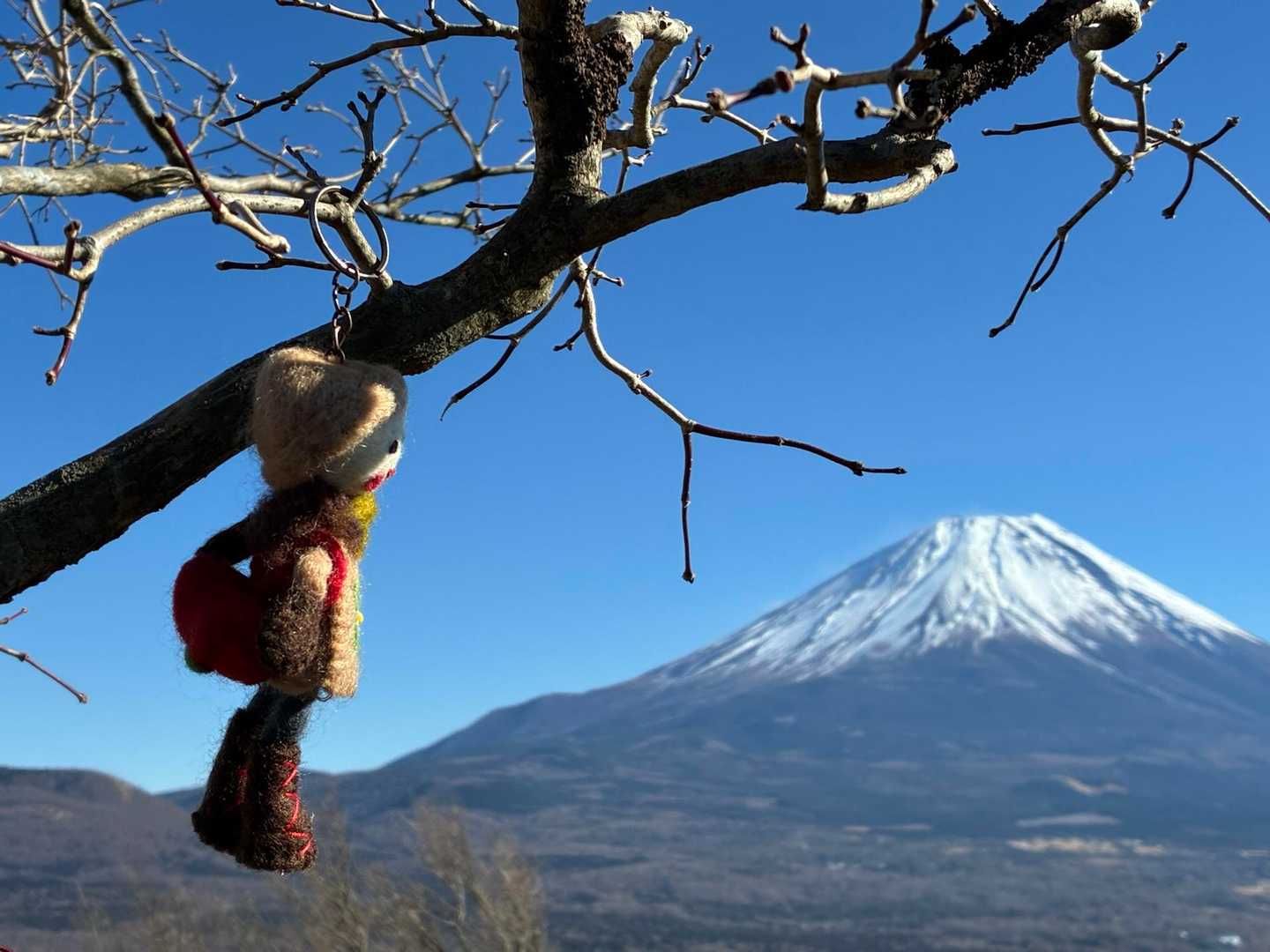 竜ヶ岳 富士山🗻三昧 / にゃんこ🐾さんの毛無山・雨ヶ岳・竜ヶ岳の活動データ | YAMAP / ヤマップ