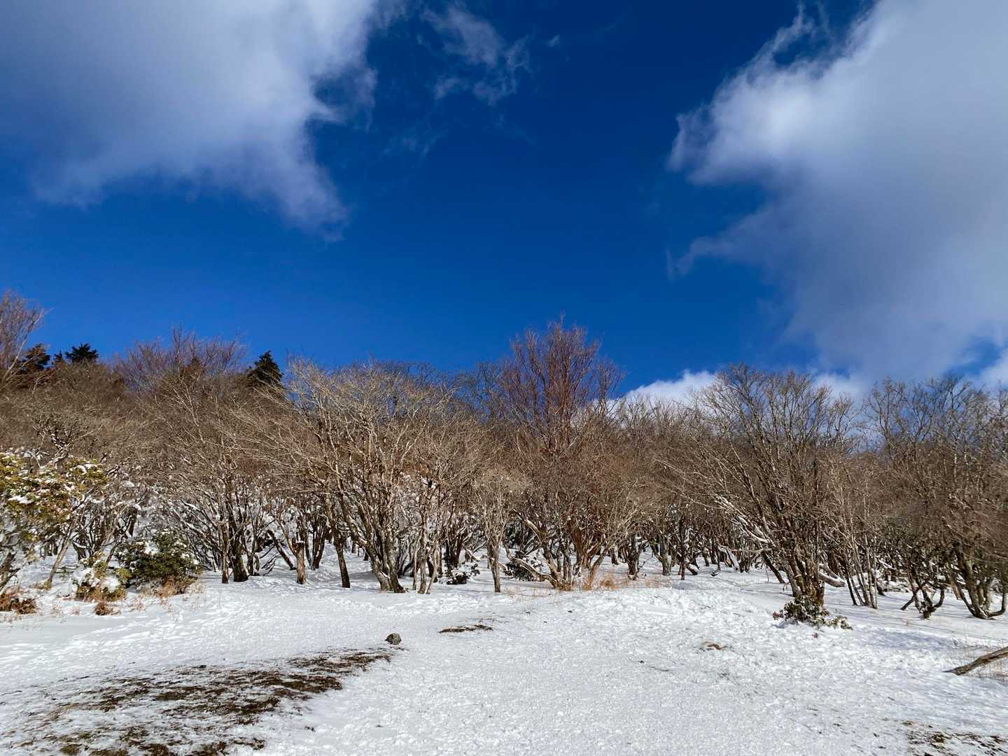 三峰山 / crossさんの三峰山・学能堂山・栗ノ木岳の活動データ | YAMAP / ヤマップ