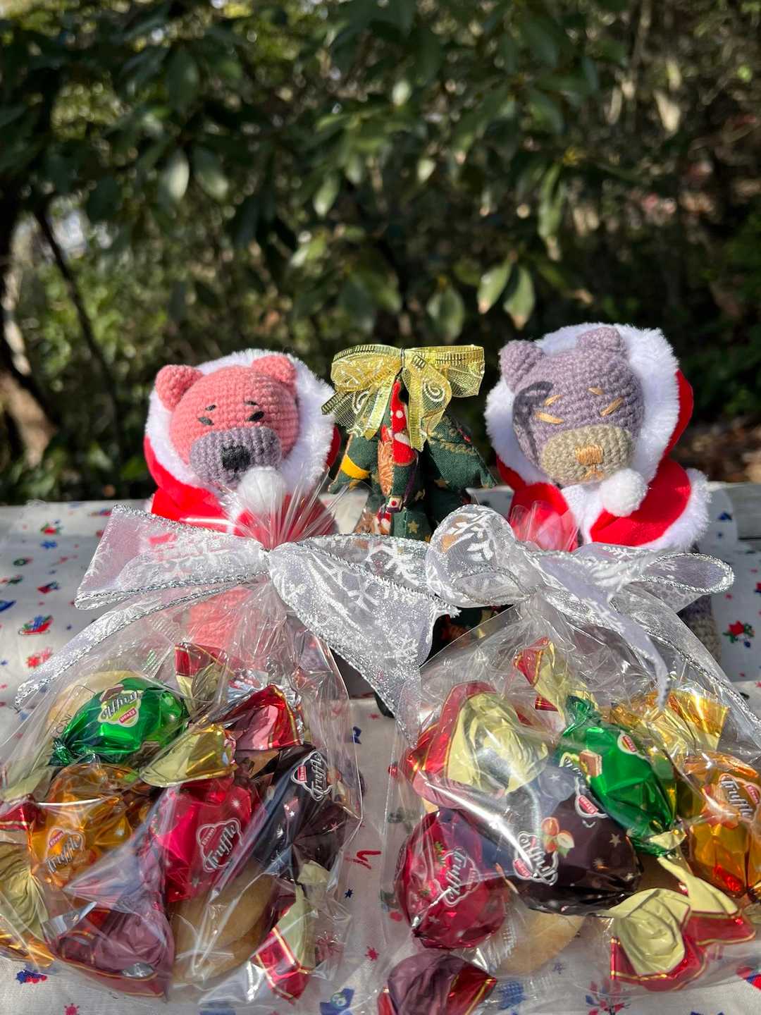 金華山 / ちえさんの金華山・洞山・舟伏山の活動データ | YAMAP / ヤマップ