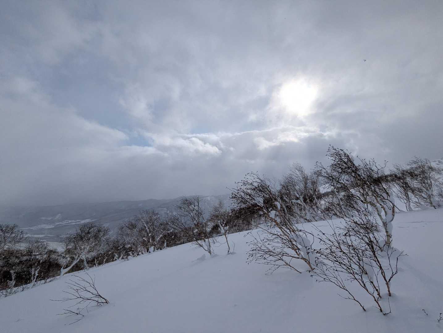 積丹岳 / しゅんすけさんの積丹半島北部・積丹岳の活動データ | YAMAP / ヤマップ