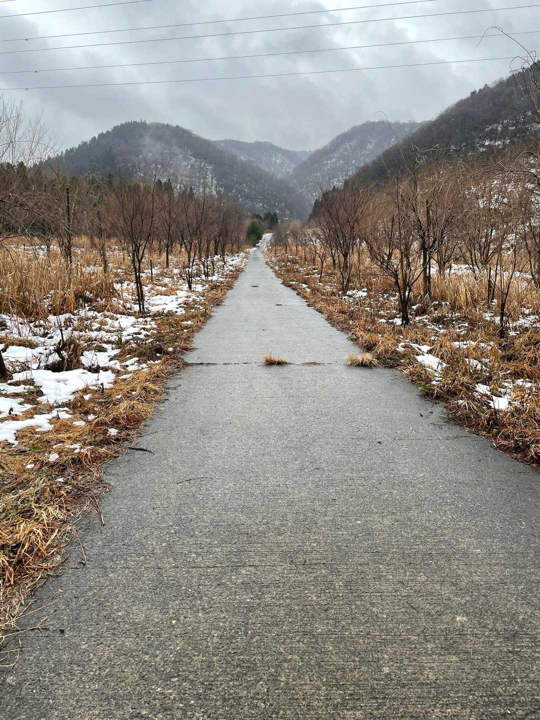 荒島岳-2025-12-30 速攻撤退💦💦💦 / motovskyさんの荒島岳の活動データ | YAMAP / ヤマップ