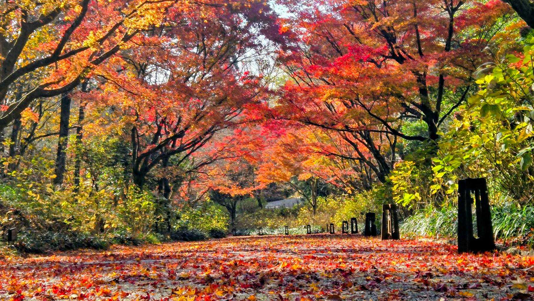 【神戸の山にでかけようスタンプラリー2025】 / ららさんの六甲山・長峰山・摩耶山の活動データ | YAMAP / ヤマップ