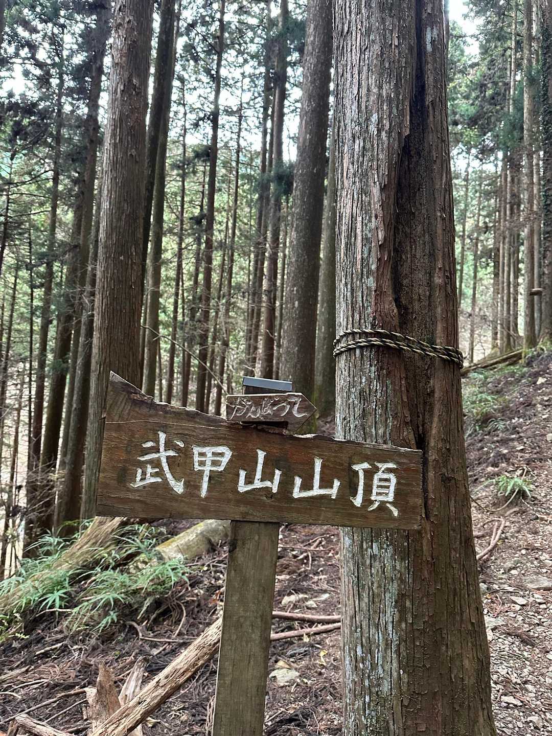 武甲山・小持山・大持山 / kyo0519さんの武甲山・伊豆ヶ岳・小持山の活動データ | YAMAP / ヤマップ