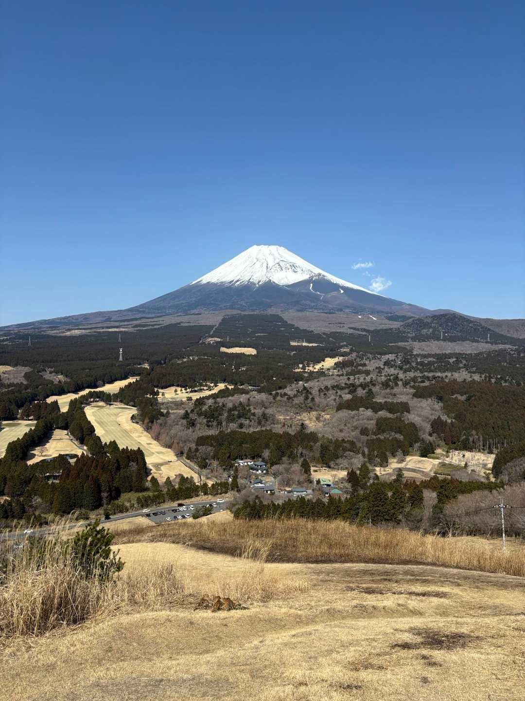 越前岳 / SakaKen.fitさんの愛鷹山・大岳・黒岳の活動データ | YAMAP / ヤマップ