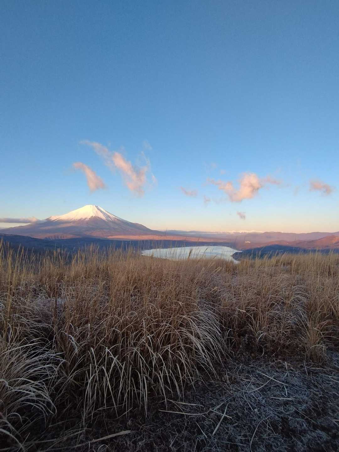 故郷の絶景 鉄砲木ノ頭(明神山) / horitakaさんの御正体山・杓子山・石割山の活動データ | YAMAP / ヤマップ