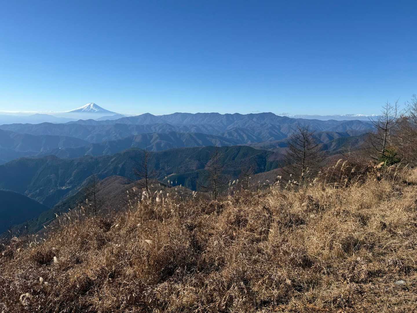 鷹ノ巣山(13回目) / katsuさんの雲取山・鷹ノ巣山・七ツ石山の活動データ | YAMAP / ヤマップ