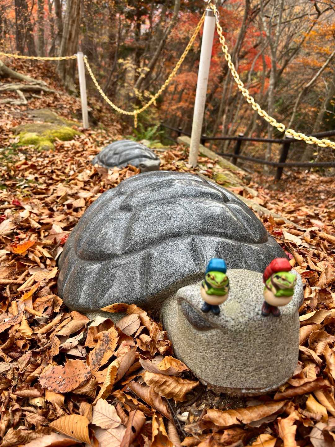 いるベアねぇ🐻笹倉山2025.11.24 / shivaさんの七ツ森の活動データ | YAMAP / ヤマップ