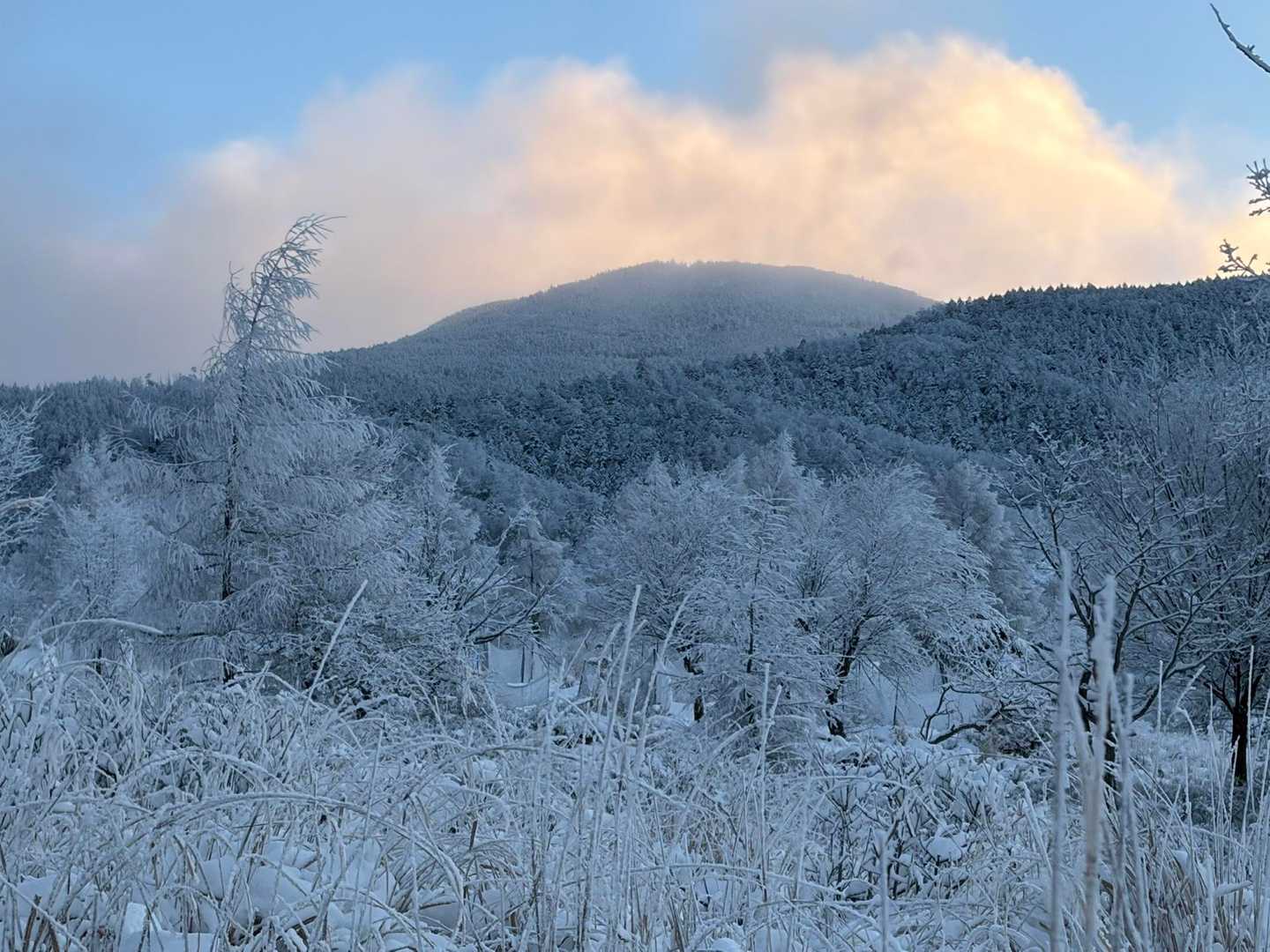 Merryゆるふわ？北横岳〆@2025/12/26(Fri) / よししさんの蓼科山・横岳・縞枯山の活動データ | YAMAP / ヤマップ
