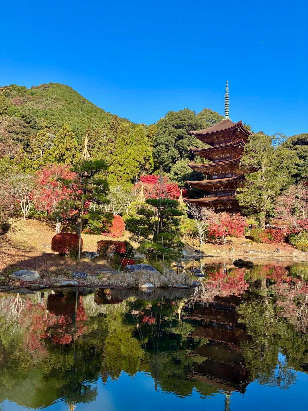 香山・鴻ノ峰・亀山 / かおりんさんの東鳳翩山・西鳳翩山・鴻ノ峰の活動データ | YAMAP / ヤマップ