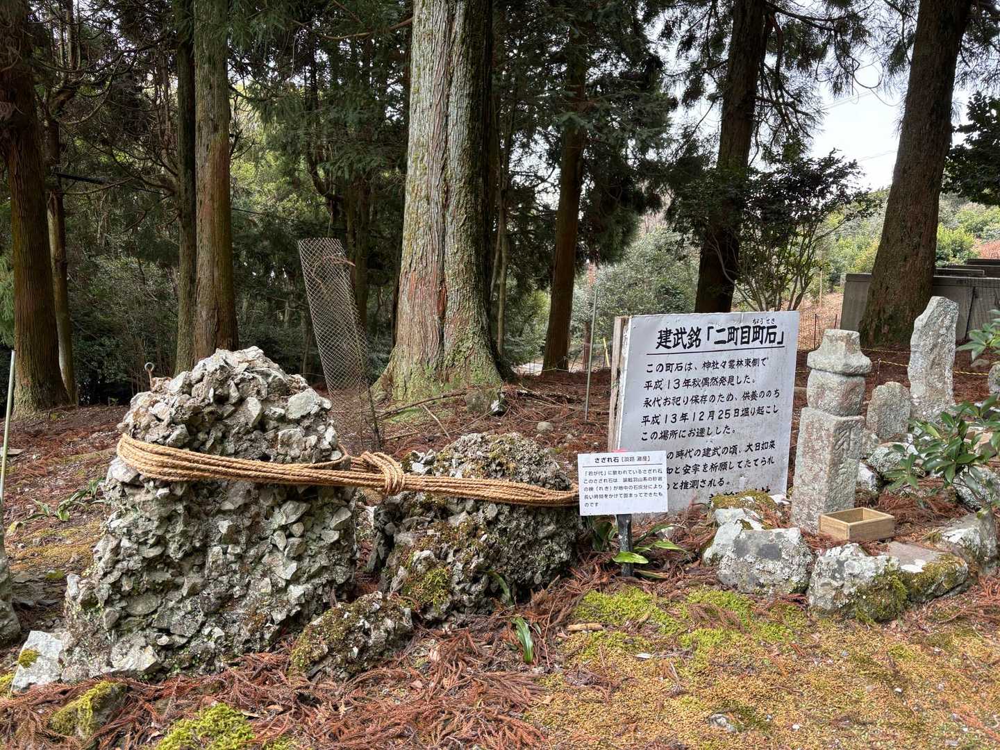 諭鶴羽山 / makoさんの諭鶴羽山の活動データ | YAMAP / ヤマップ