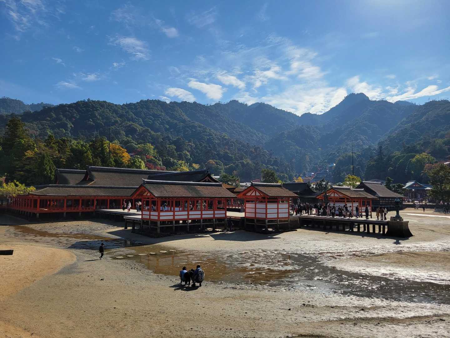要害山・弥山 🍁珍道中 ふっくら穴子丼から宮島紅葉狩り / shigeyoさんの宮島（厳島）・弥山の活動データ | YAMAP / ヤマップ