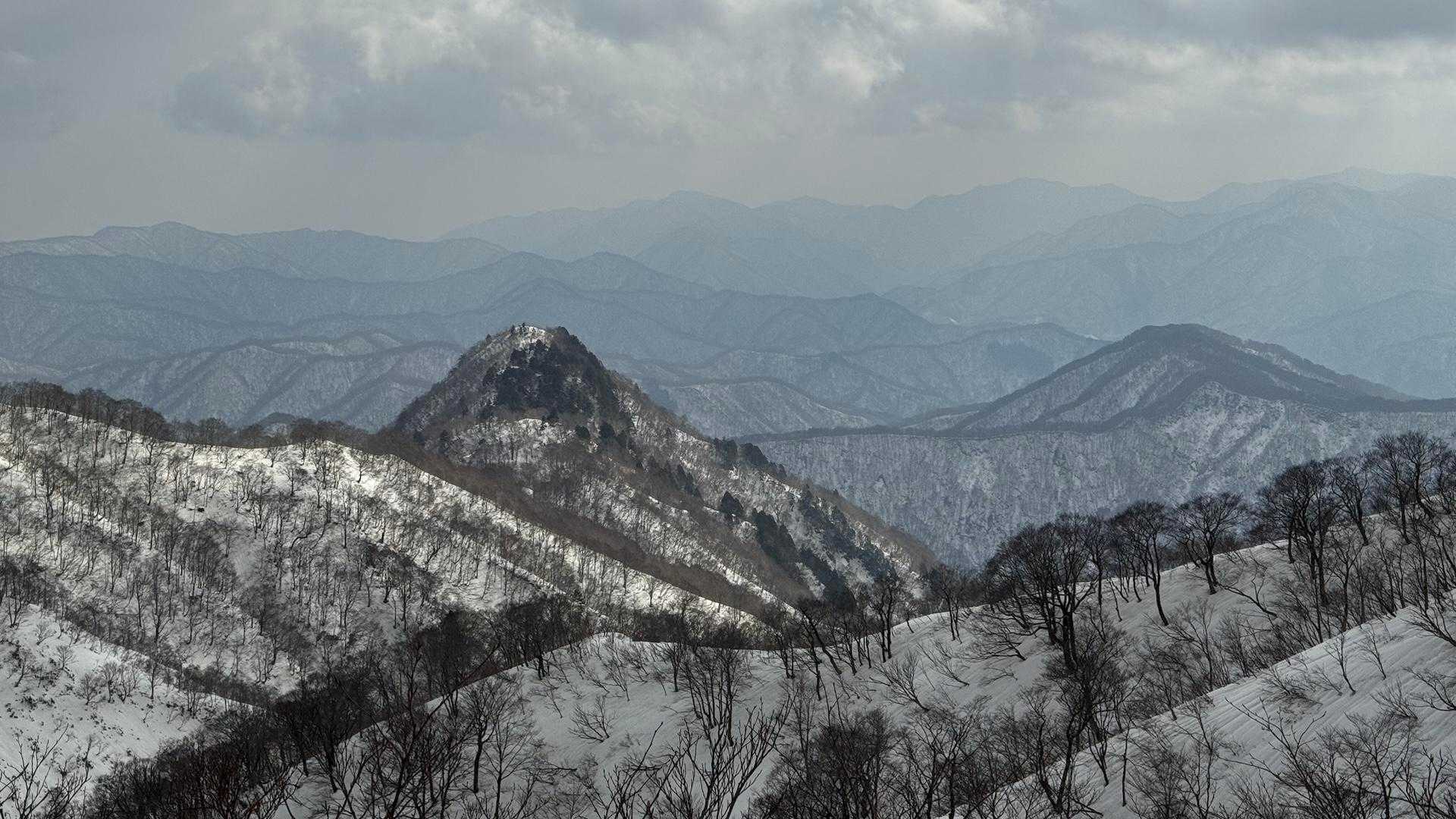 気まぐれ雪原-2026-01-17 / 山歩者ちひろさんの冠山・金草岳の活動データ | YAMAP / ヤマップ
