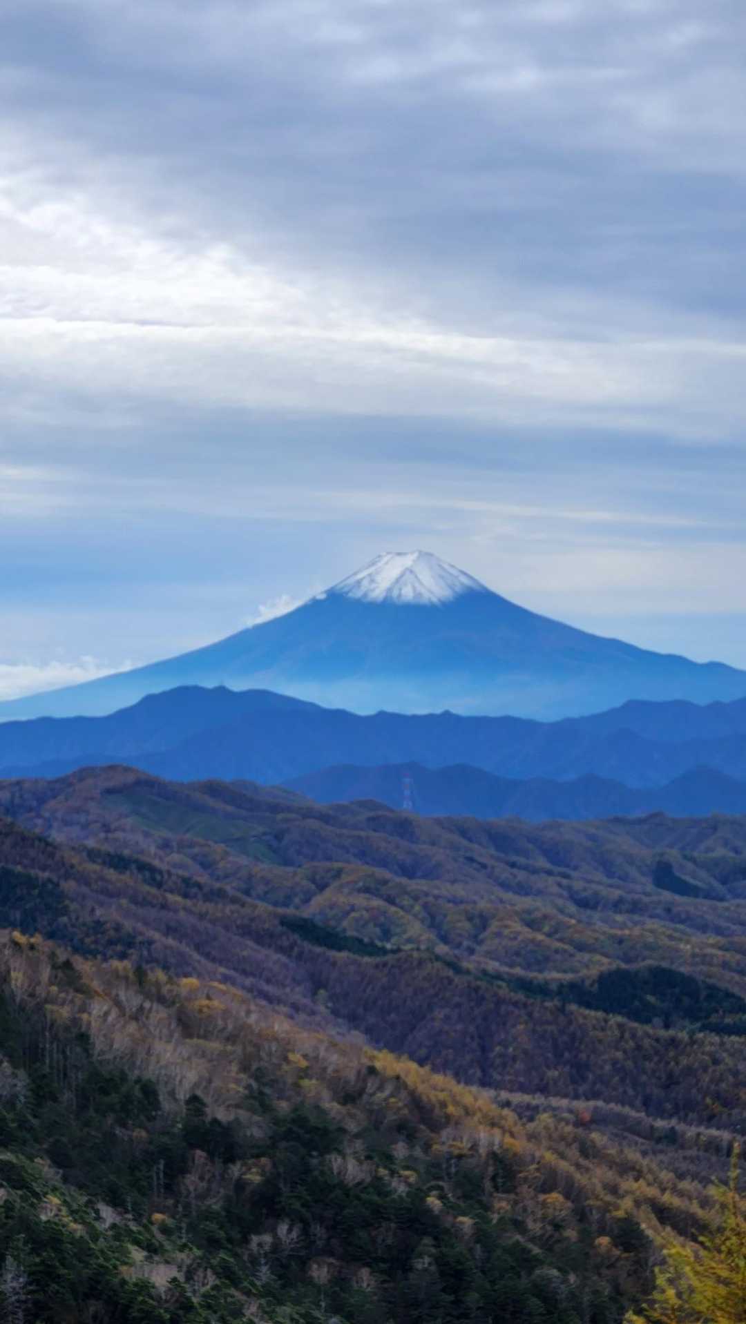親不知ノ頭・大菩薩嶺・国内御殿 / cocoさんの大菩薩嶺・鶏冠山・大マテイ山の活動データ | YAMAP / ヤマップ