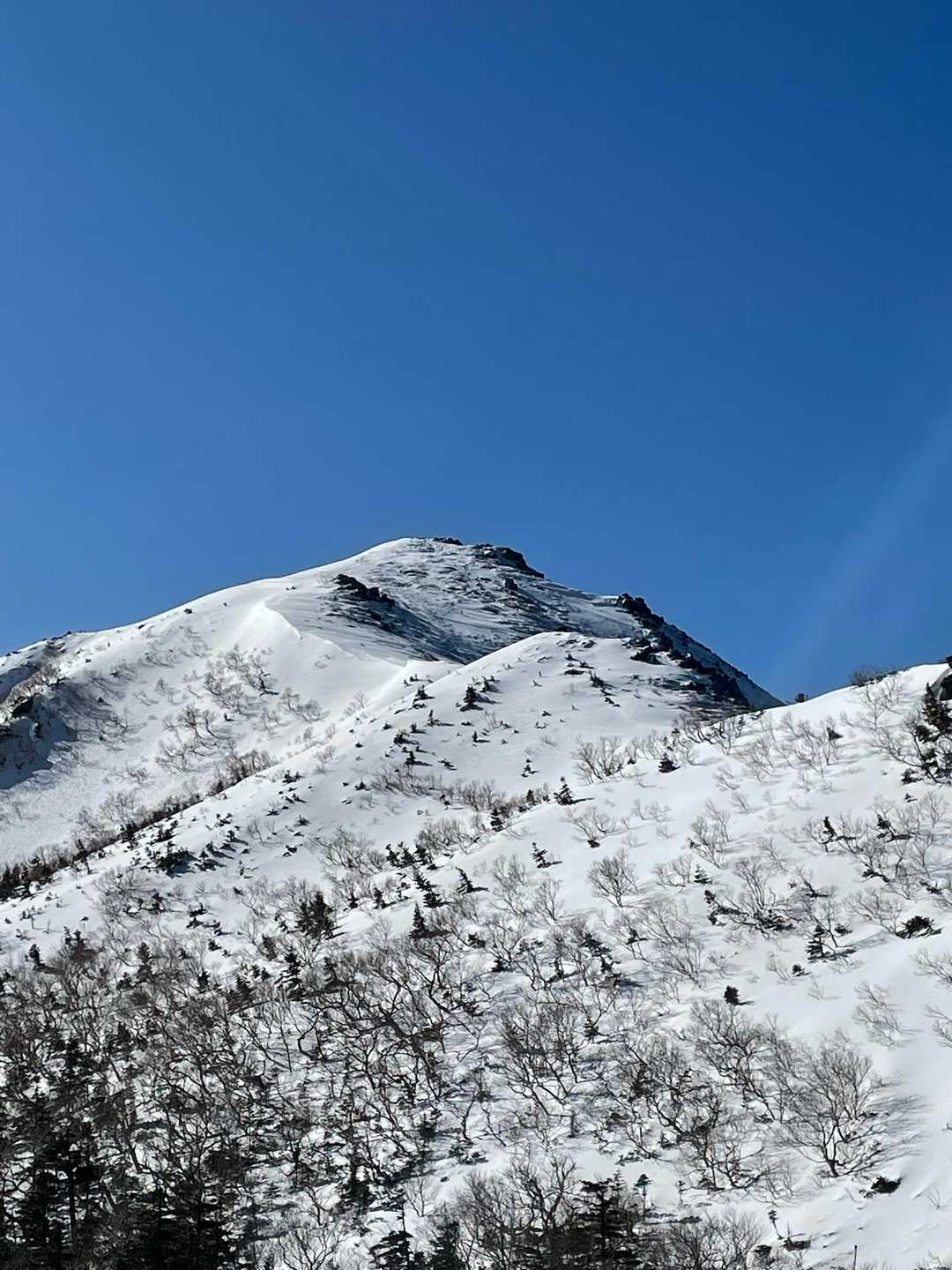 将棊頭山から西駒ヶ岳を眺める / motovskyの登山データ | YAMAP / ヤマップ