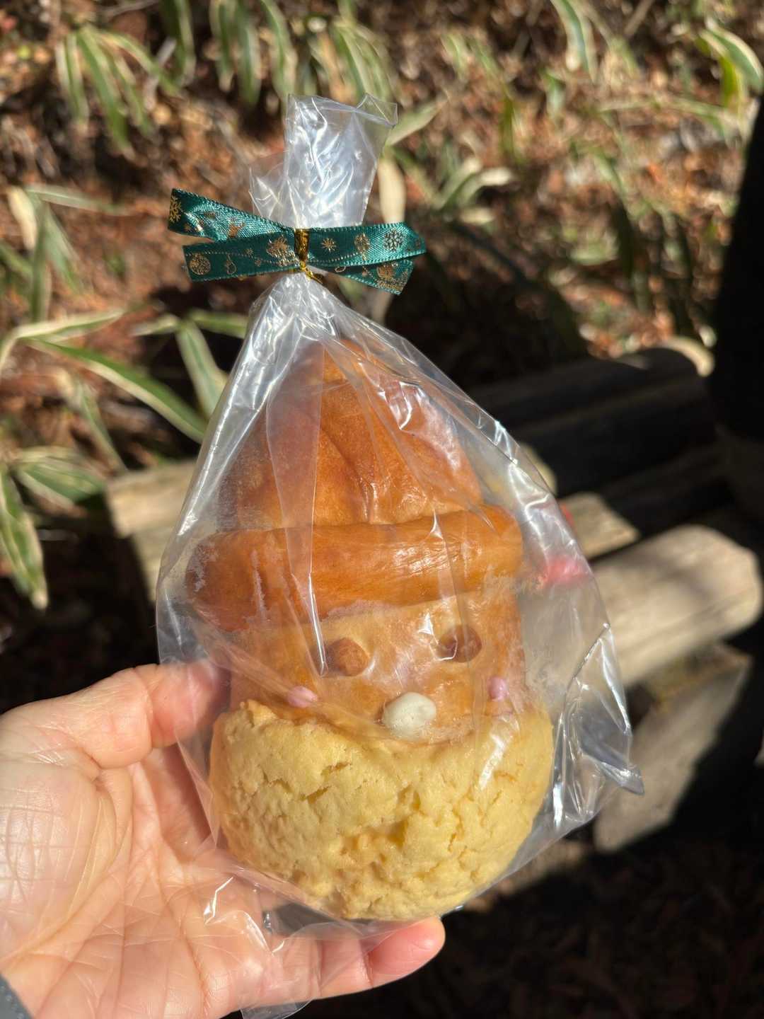 金剛山 / ゆかさんの金剛山・二上山・大和葛城山の活動データ | YAMAP / ヤマップ