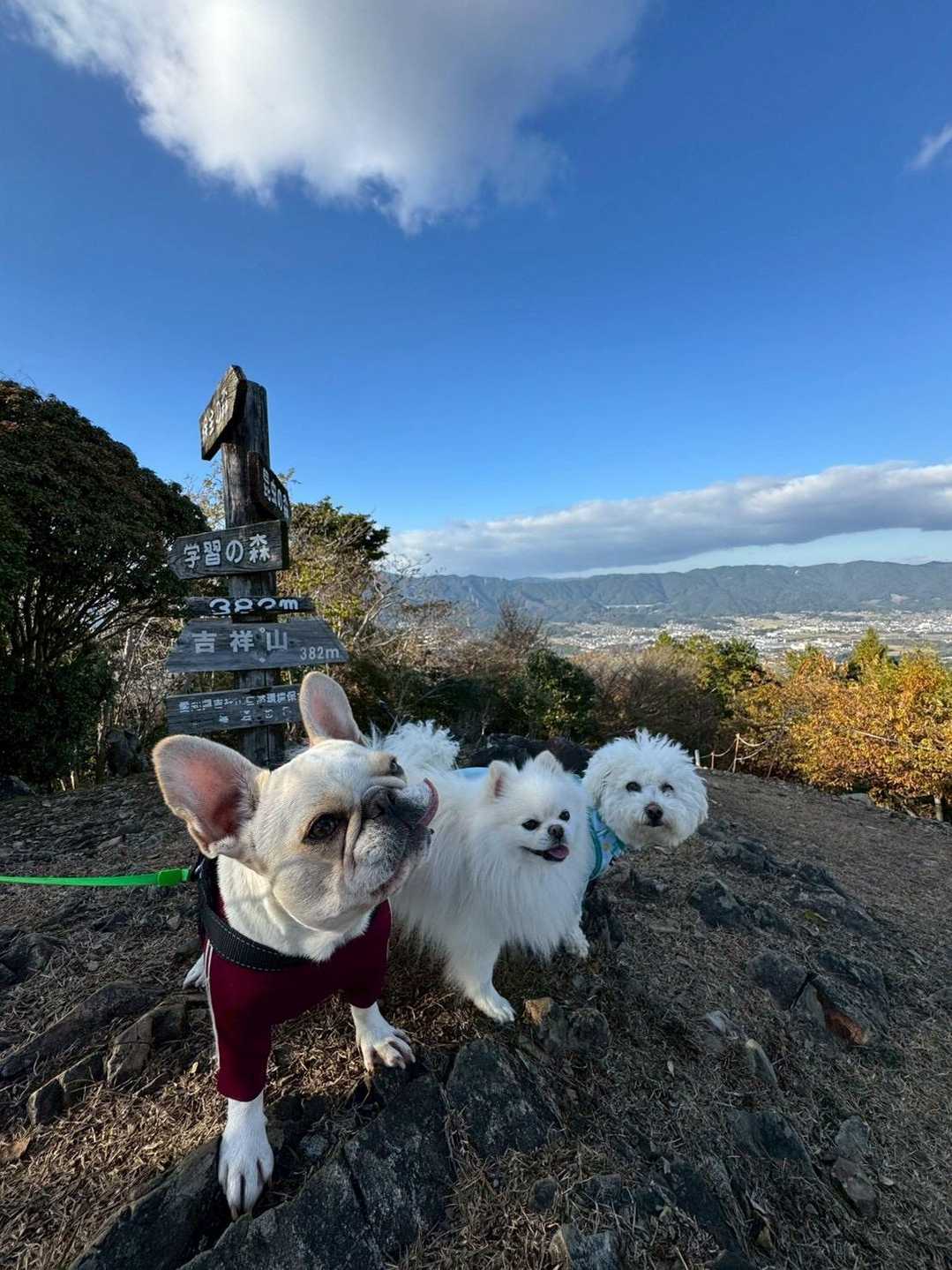 吉祥山 / monさんの吉祥山の活動データ | YAMAP / ヤマップ