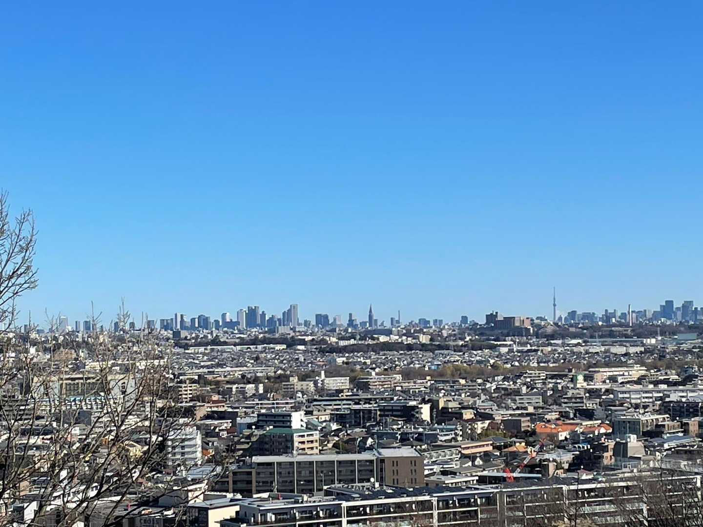 登り初めはリハビリハイキングで生田緑地へ / もえひゅうさんの鶴見川流域ウォーキングMAP（尾根歩き編）の活動データ | YAMAP / ヤマップ