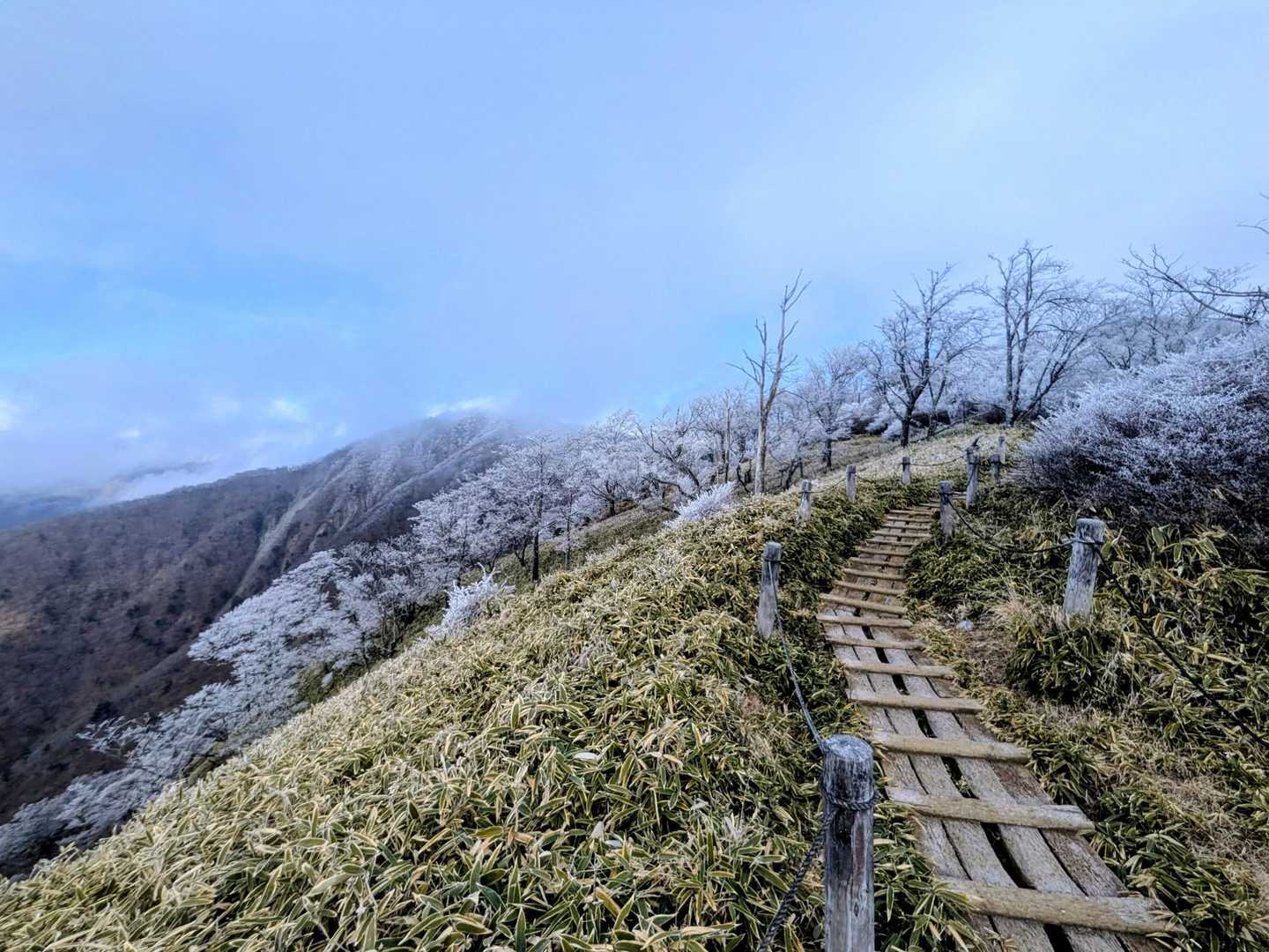 塔ノ岳・丹沢山 / おみそさんの塔ノ岳・丹沢山・蛭ヶ岳の活動データ | YAMAP / ヤマップ