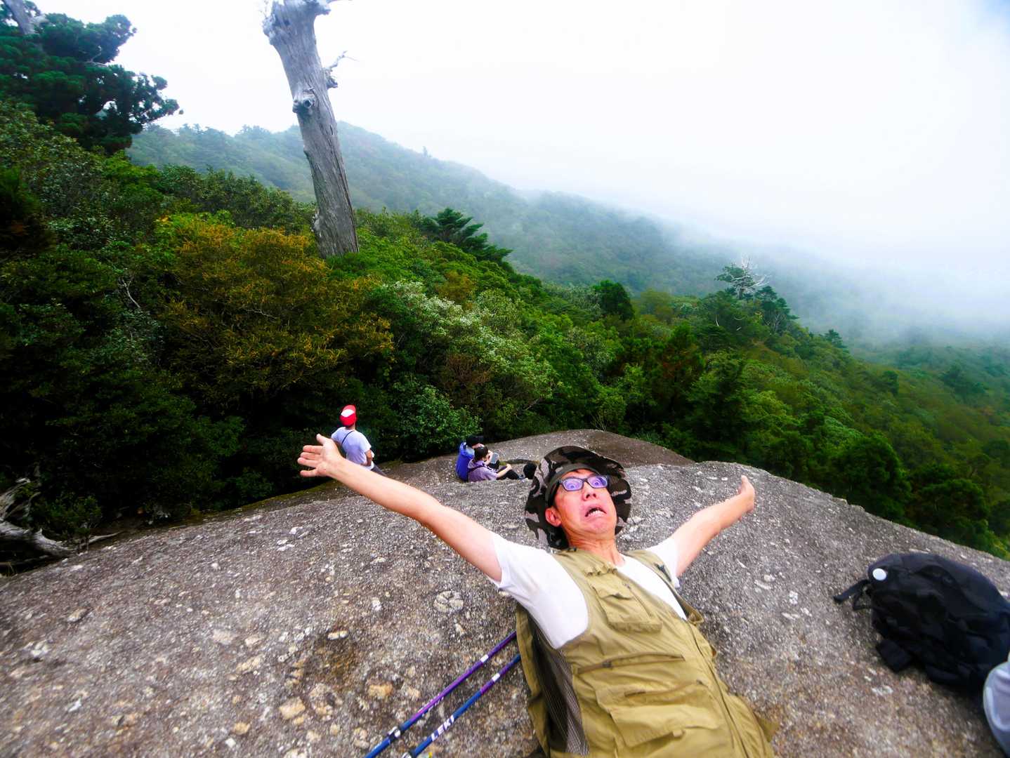 太鼓岩（1048m）．．．白谷雲水峡 / giant-okadaさんの屋久島・宮之浦岳の活動データ | YAMAP / ヤマップ